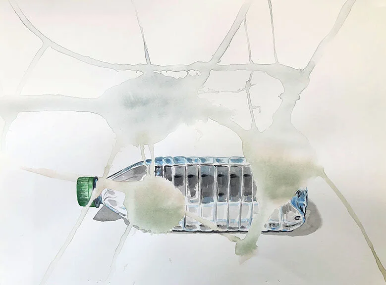 Landscape Still Life — Sara Drescher