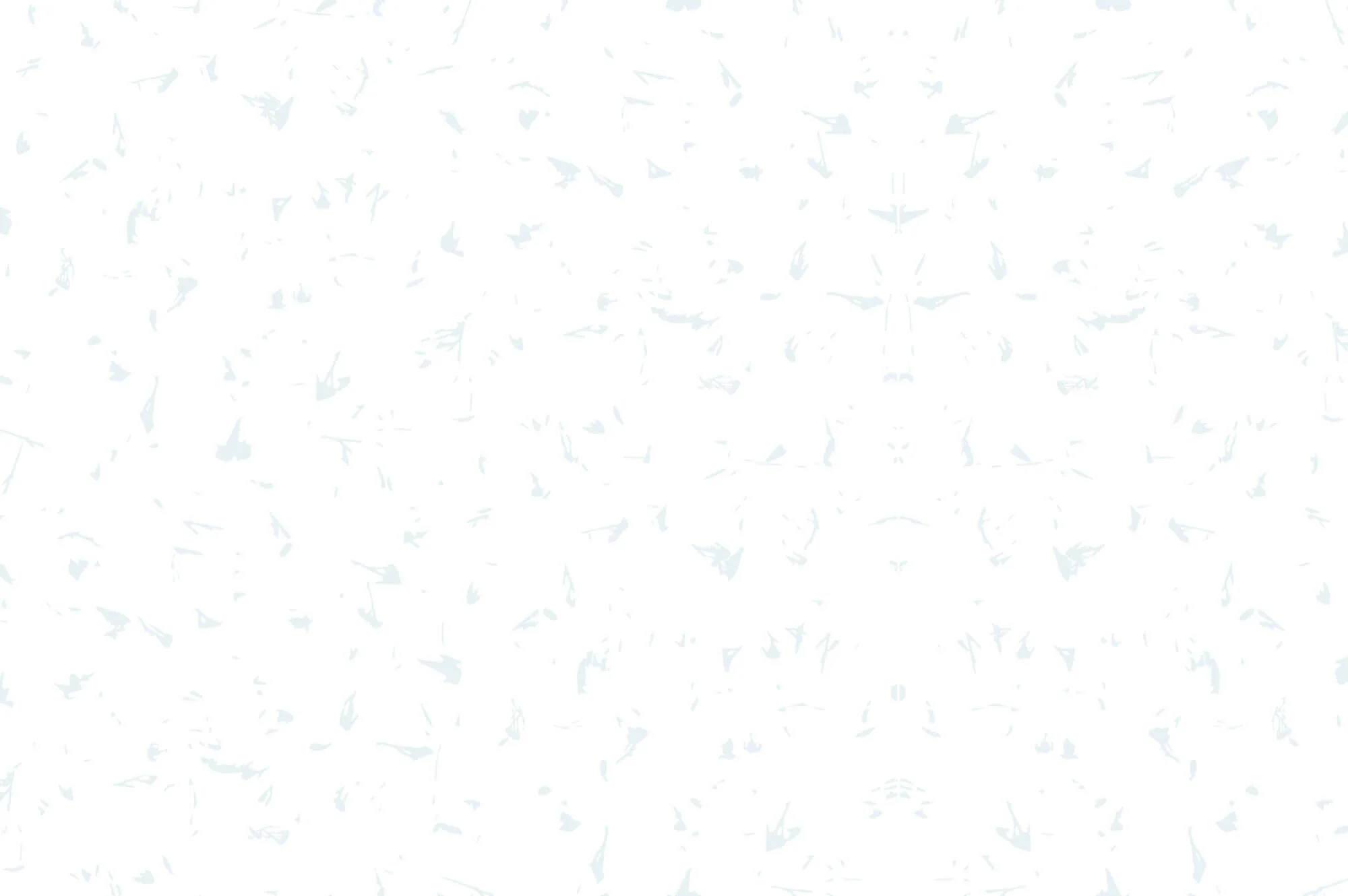 Squarespace Website Designer | Lauren Taylar