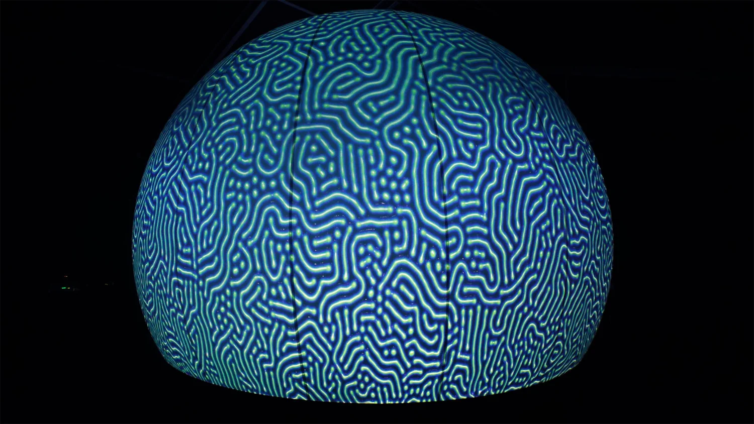 Boolean Planet — Future Wife