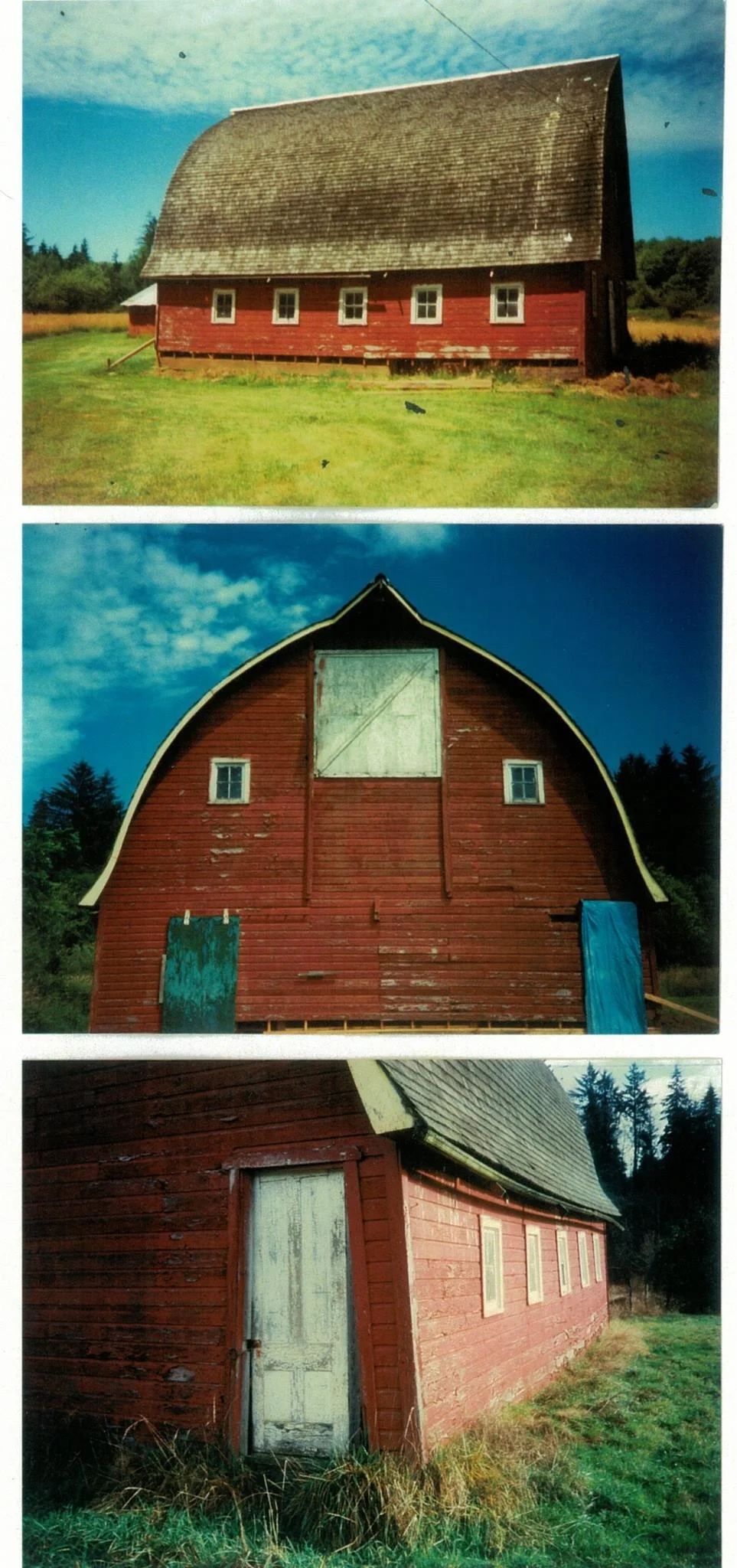 The Farm — Blackberry Bog Farm