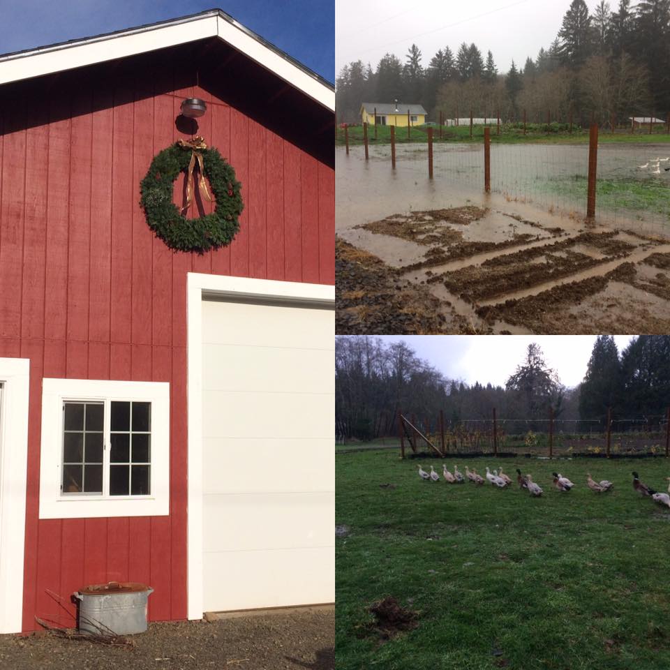 The Farm — Blackberry Bog Farm