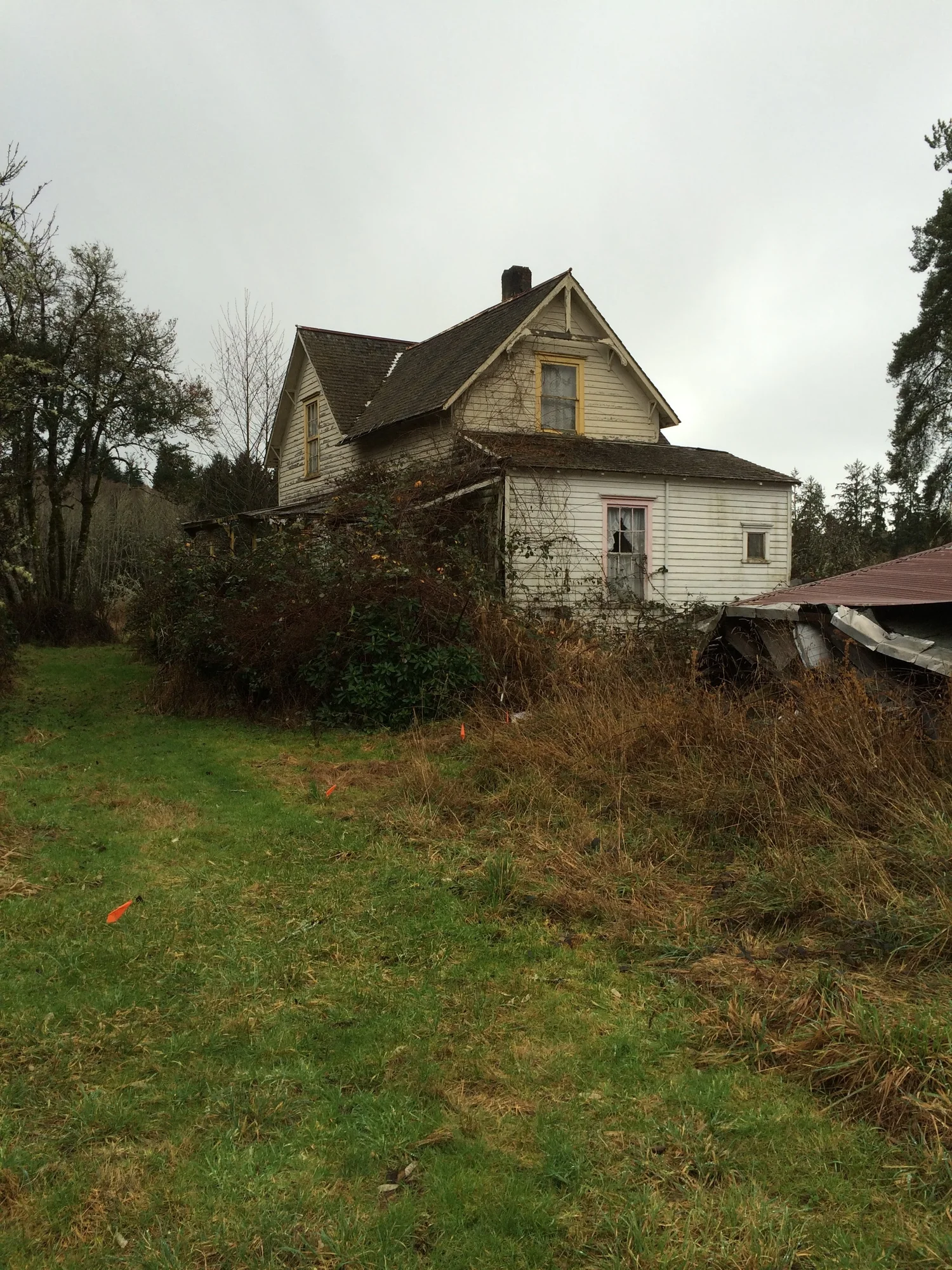 The Farm — Blackberry Bog Farm