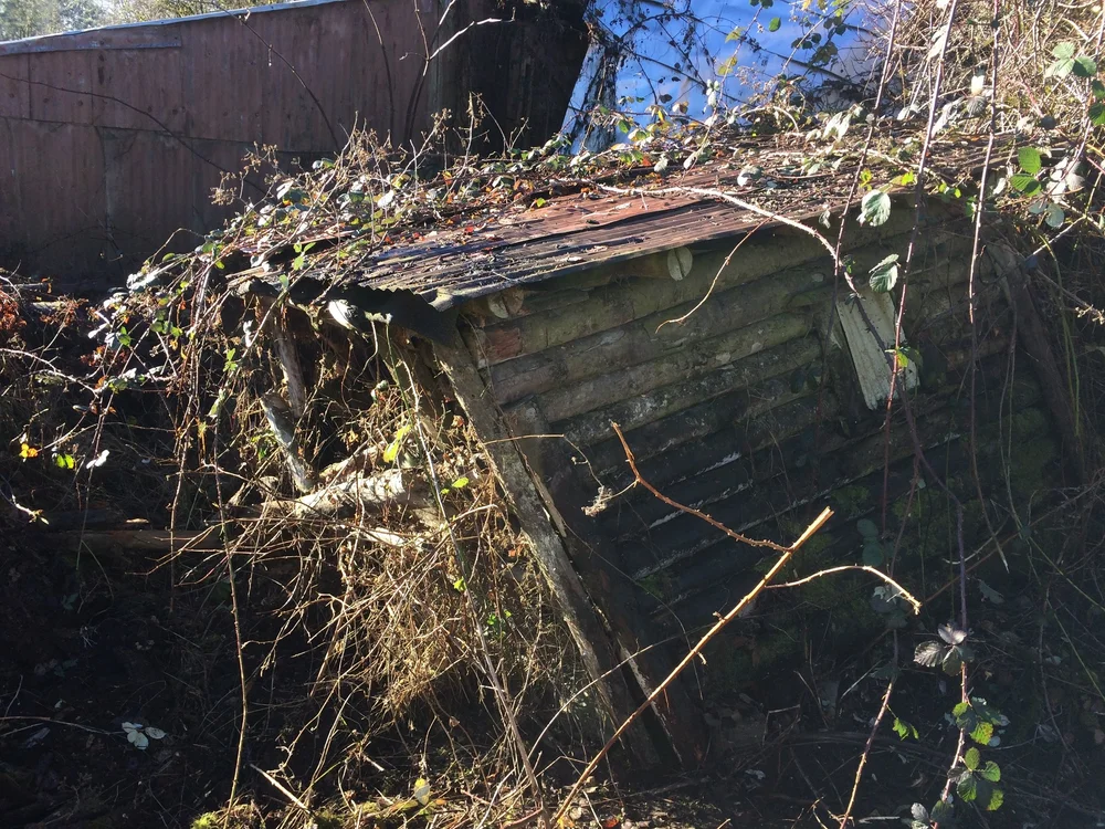 The Farm — Blackberry Bog Farm