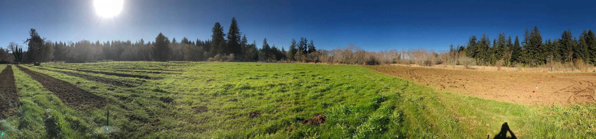 Farm Tours — Blackberry Bog Farm