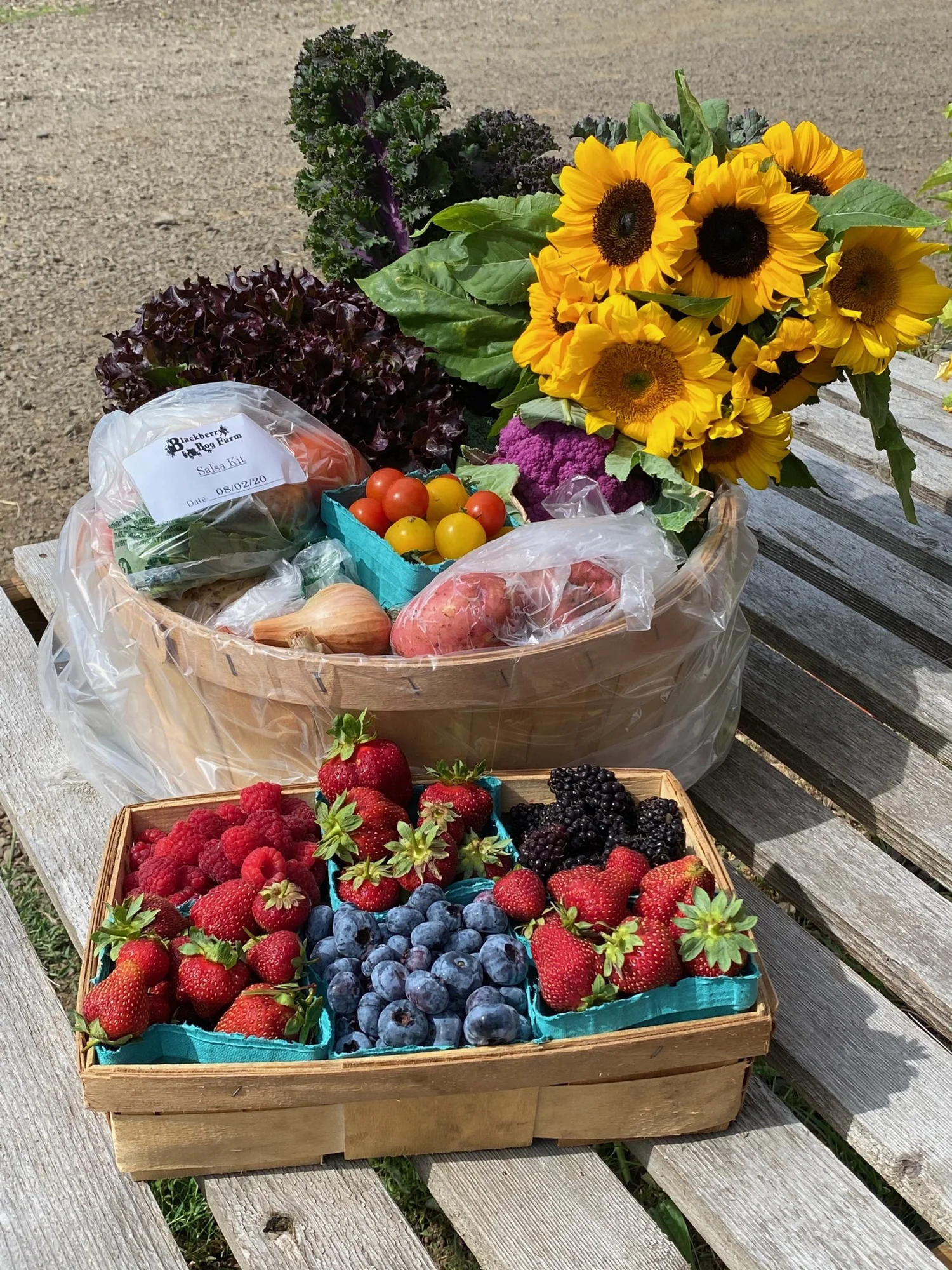 Produce & Flower CSAs — Blackberry Bog Farm