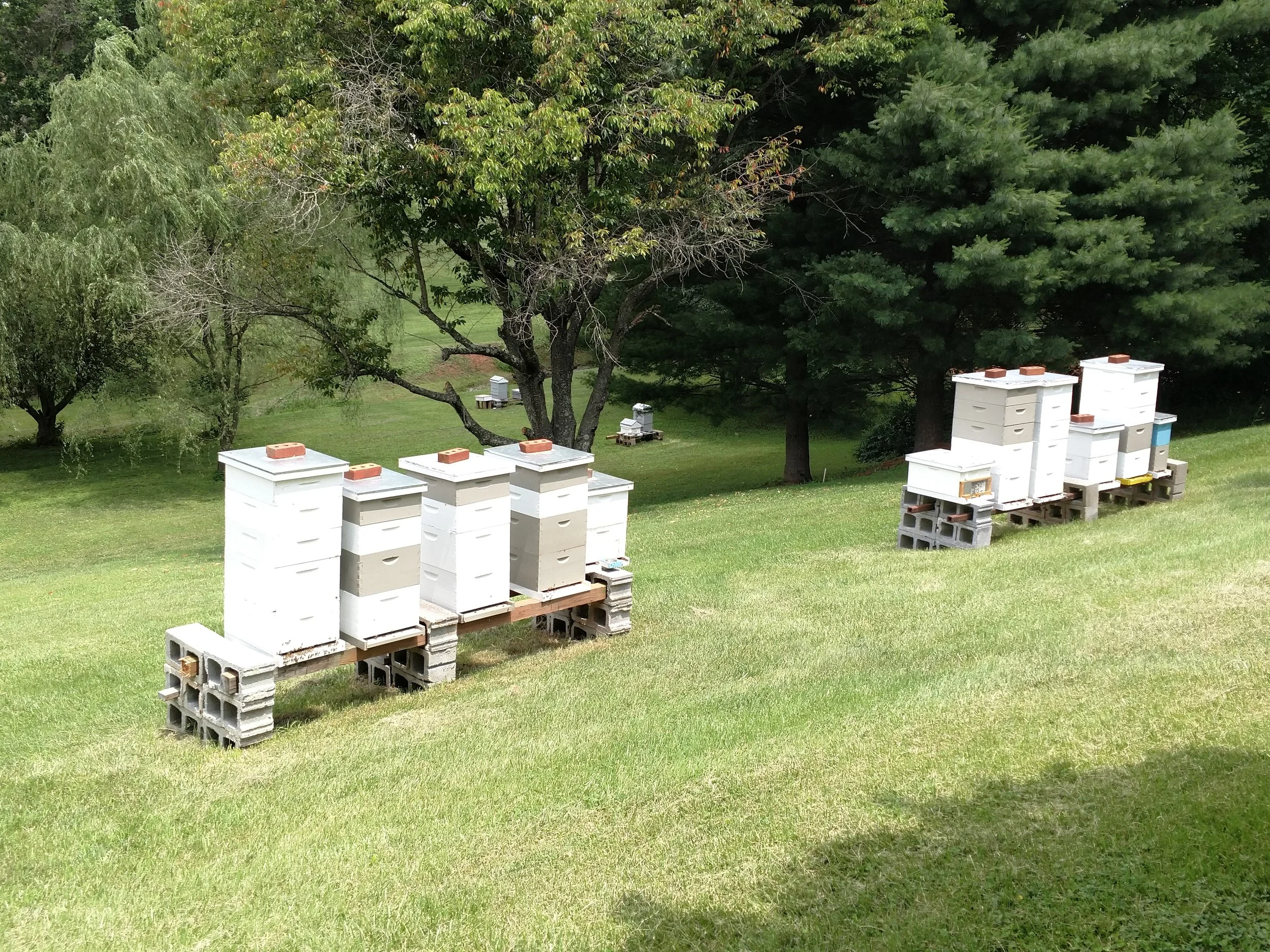 Piedmont Beekeepers Association