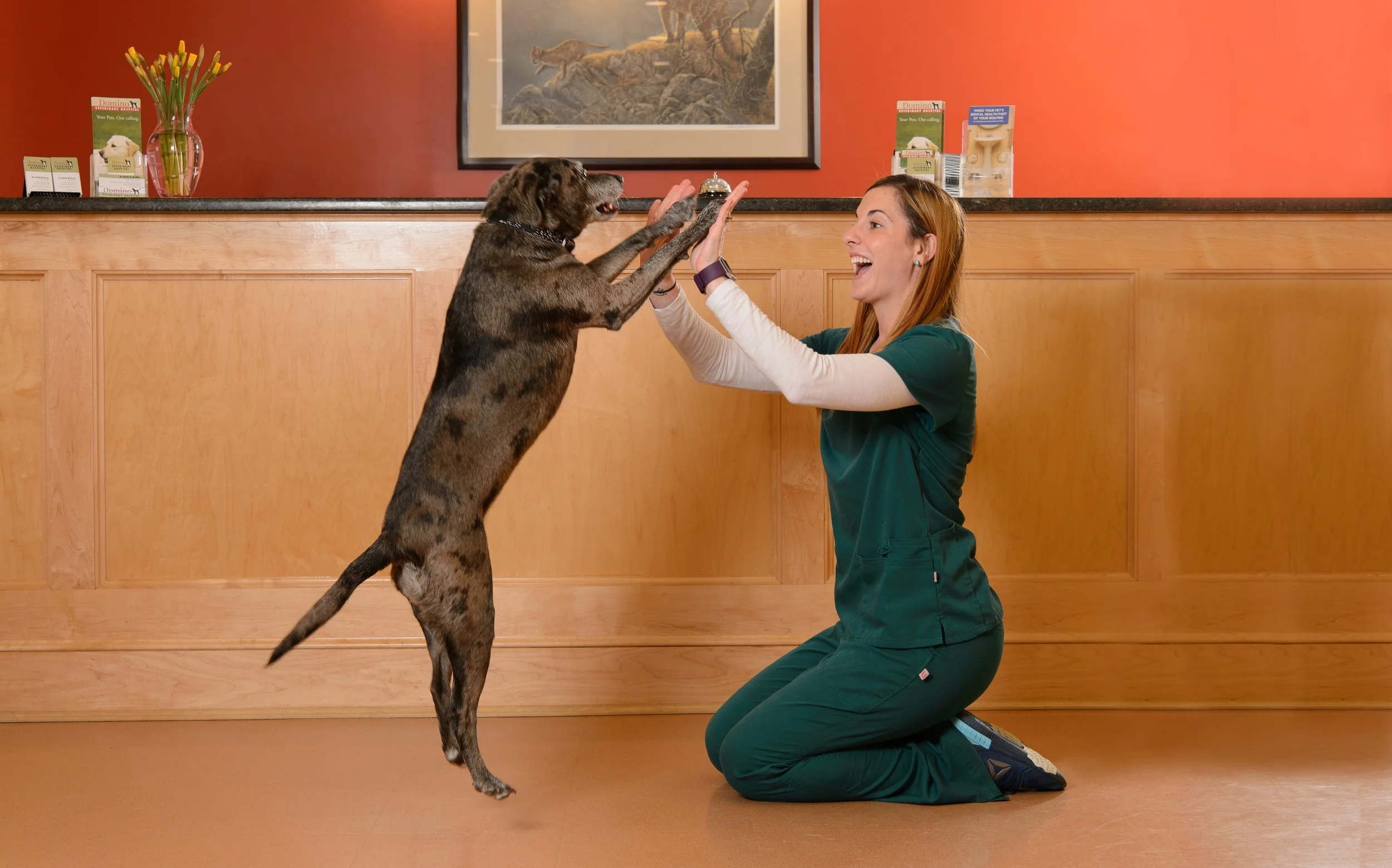 Does My Dog Need Emergency Care