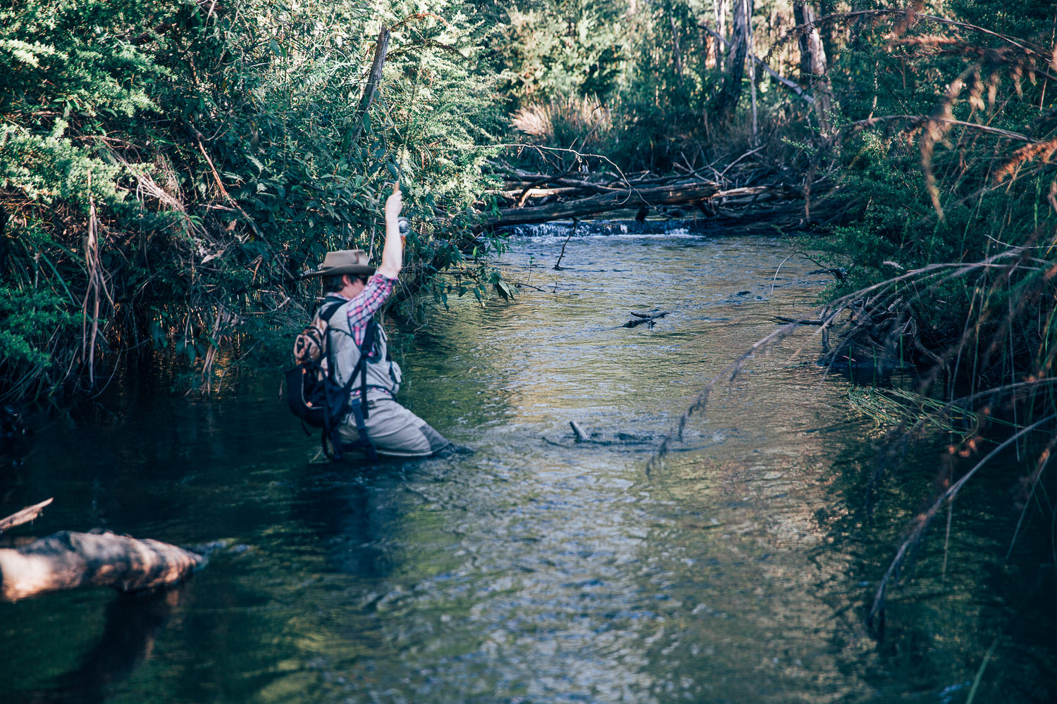 Charley May Fly Fishing