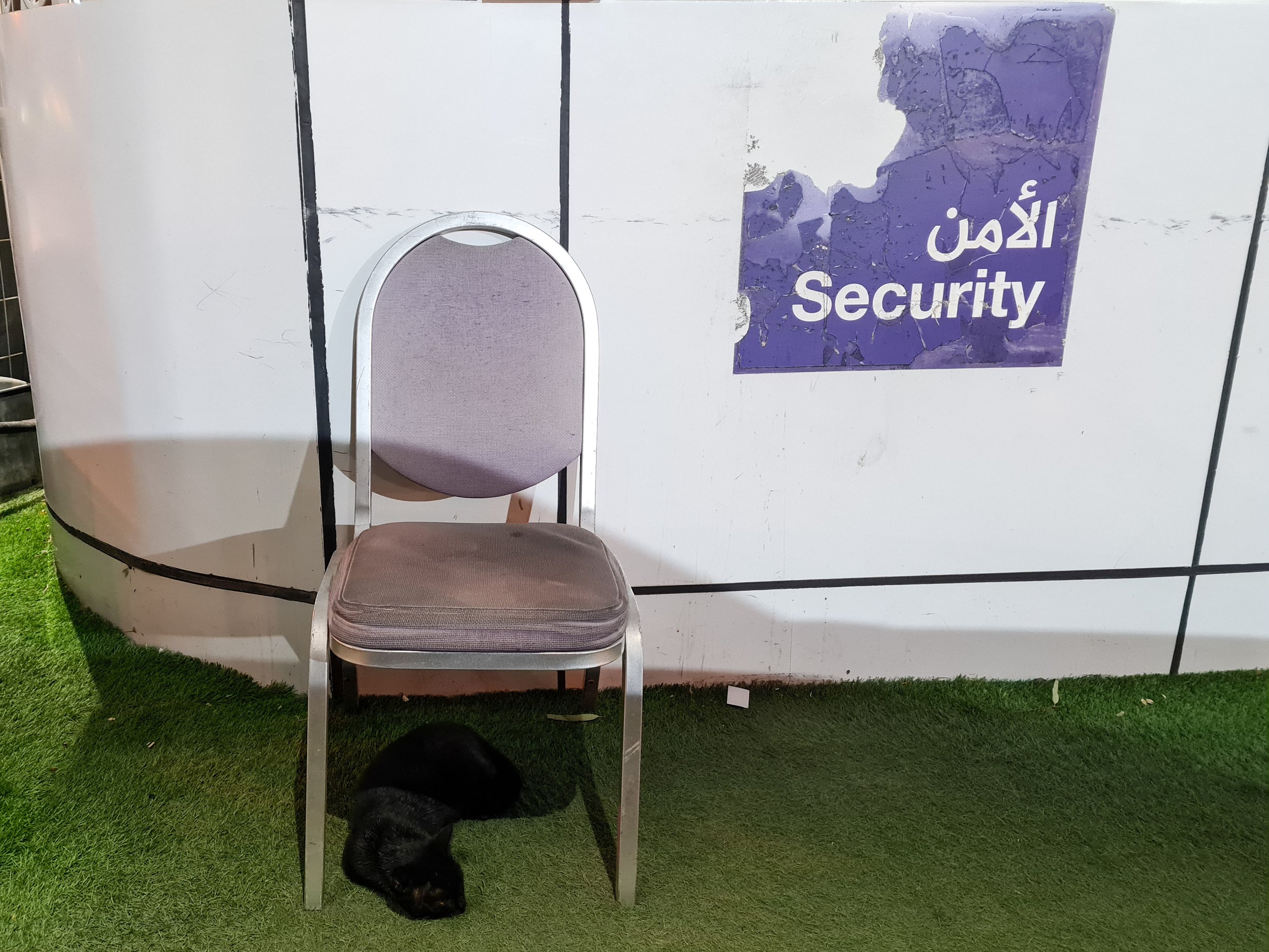 24-7/365 — Alexander Lerche