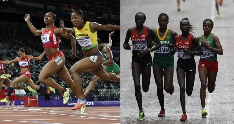 Recreational athletes body types and energy system demands — The ...