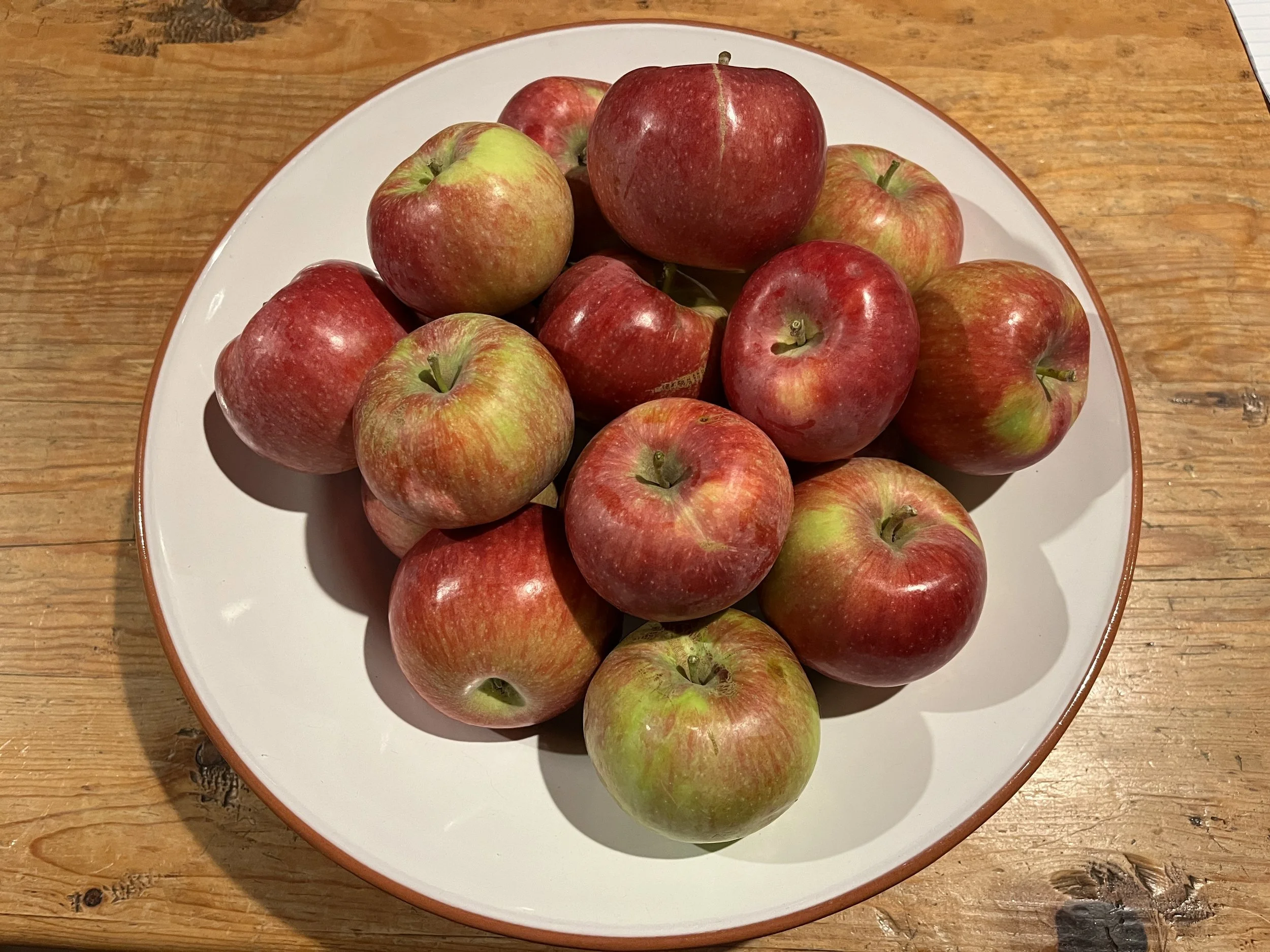 The Fruit Doesn't Fall Far — Becky Jensen