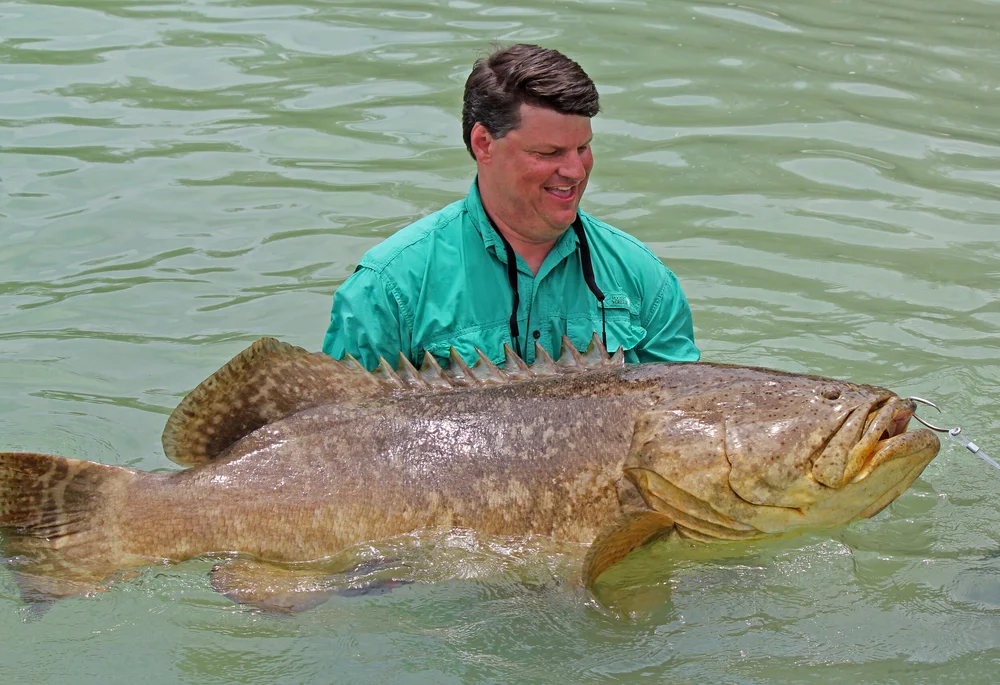 River Monsters Goliath Grouper