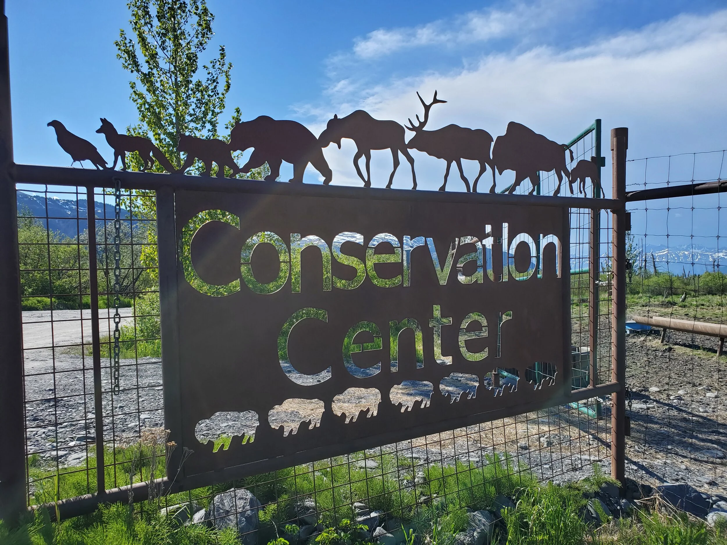 Alaska Adventure 2021: Alaska Wildlife Conservation Center — Global ...