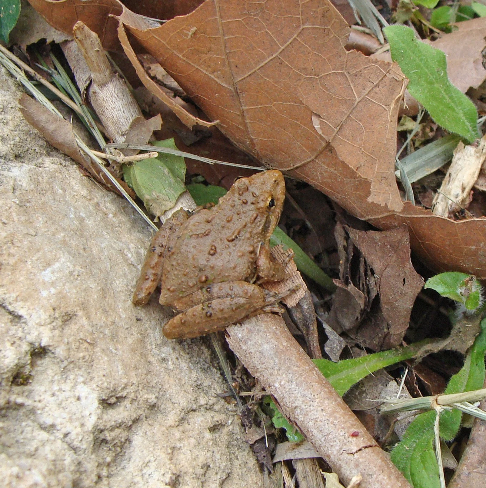 Global Outdoors Blog