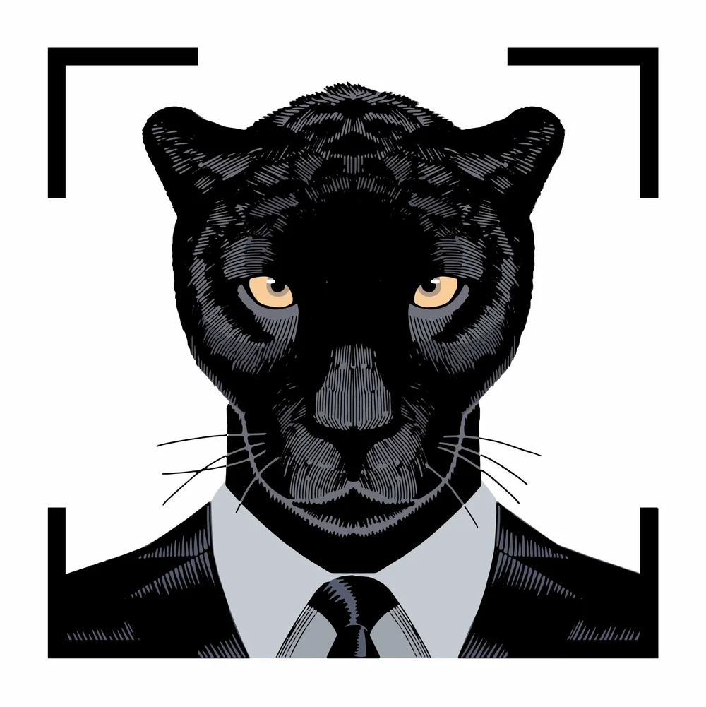 Boss Camera Collective