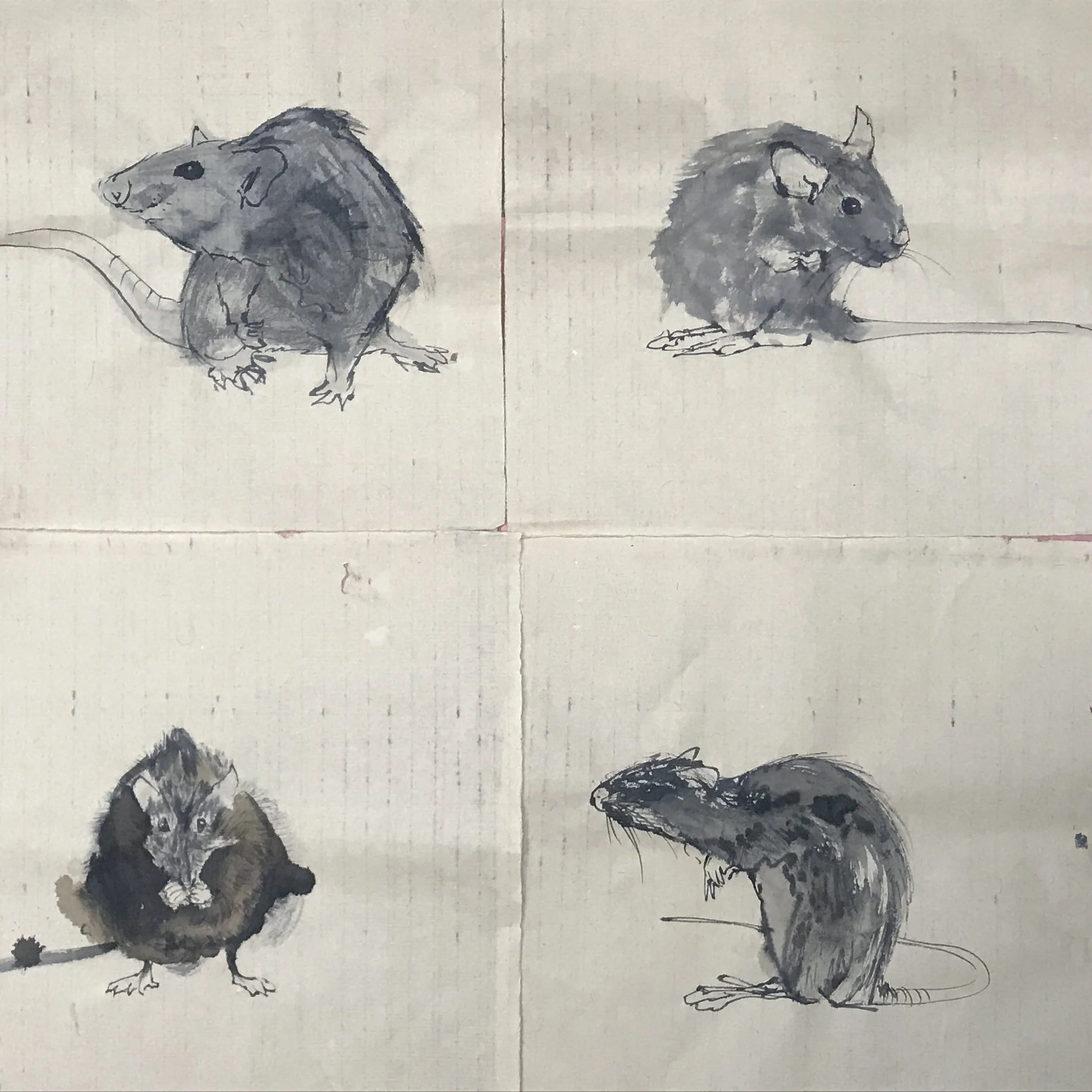 Selected paintings — XENZ