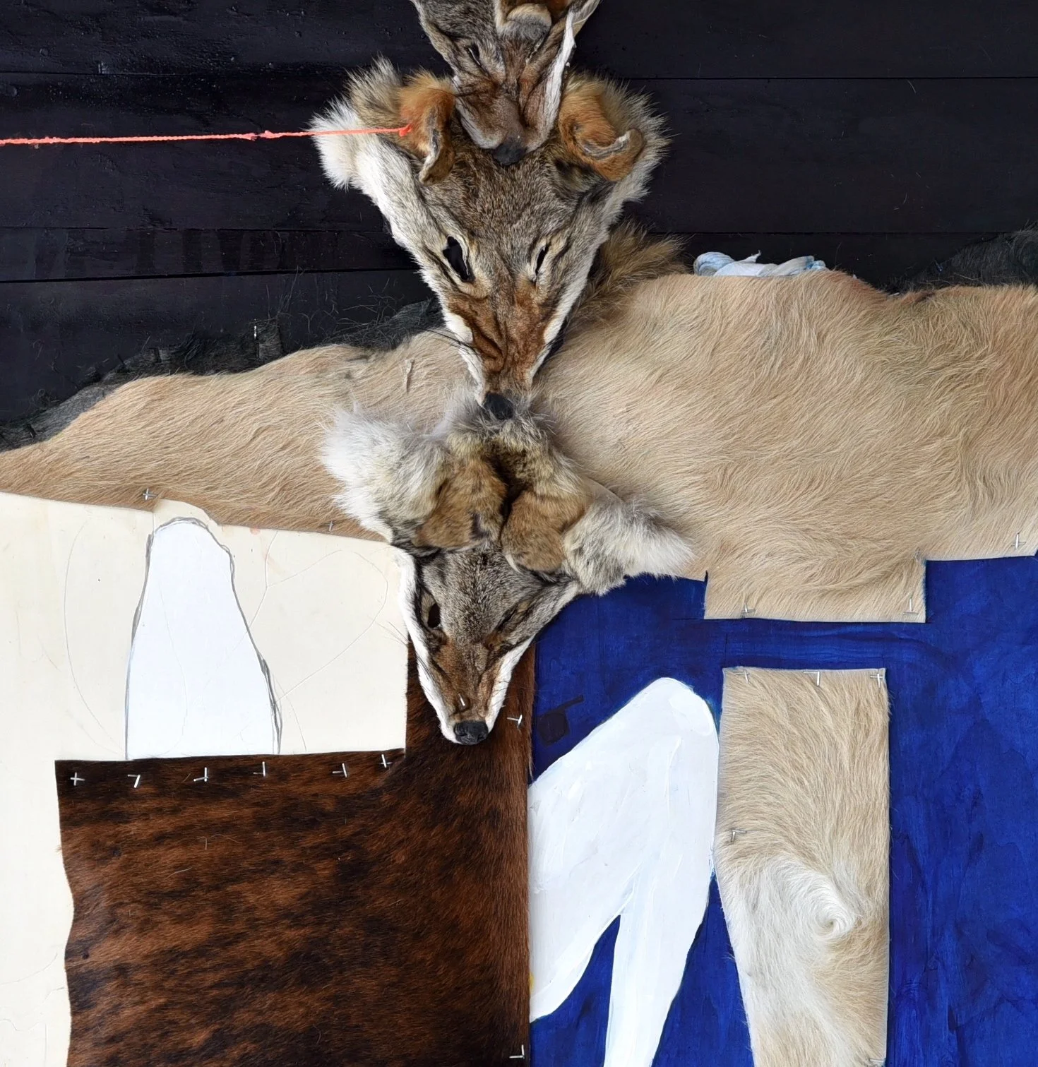 Drawing — Dani ReStack — Dani Leventhal ReStack