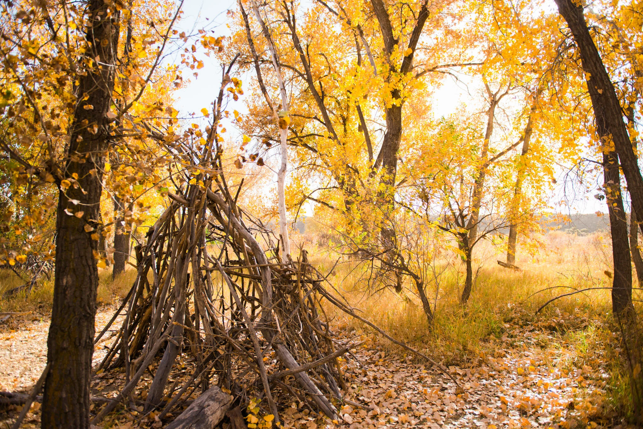 Best Photoshoot Locations in Denver