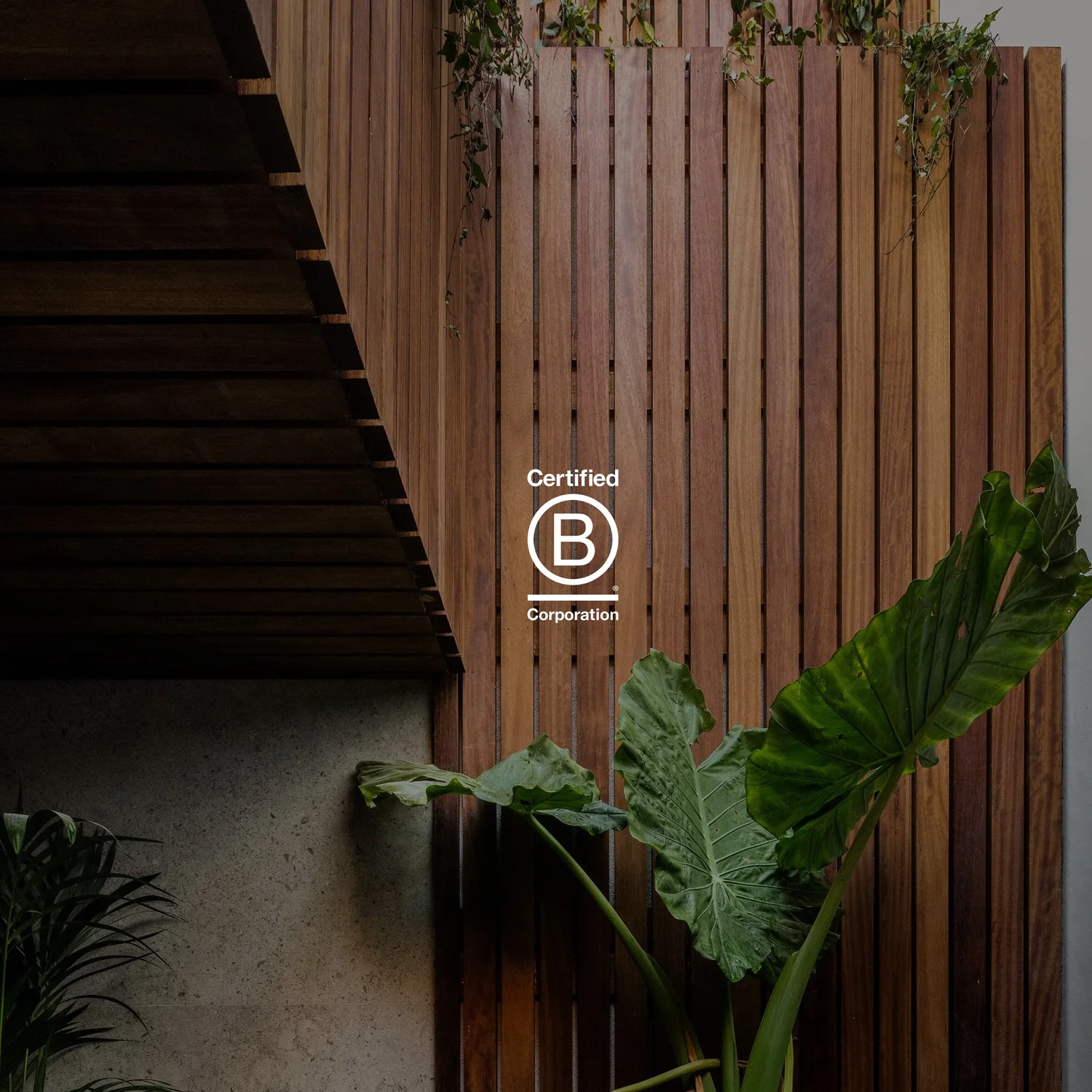 Bridging Elegance and Ethics: The Significance of Accouter's B Corp ...