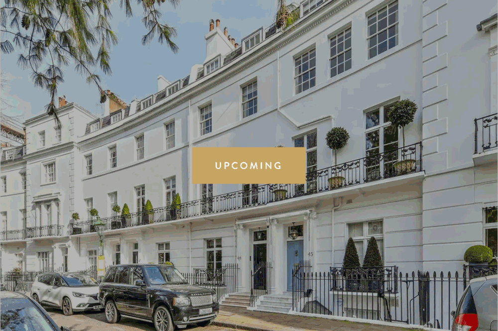 Isabella Nelson: Accouter's Interior Designer | Accouter