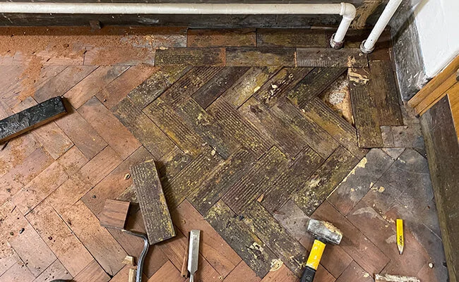 How To Relay Parquet Flooring | Viewfloor.co