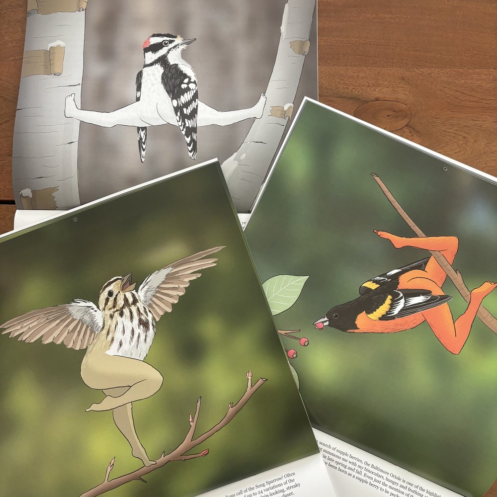 Realistic Bird Drawing Calendar