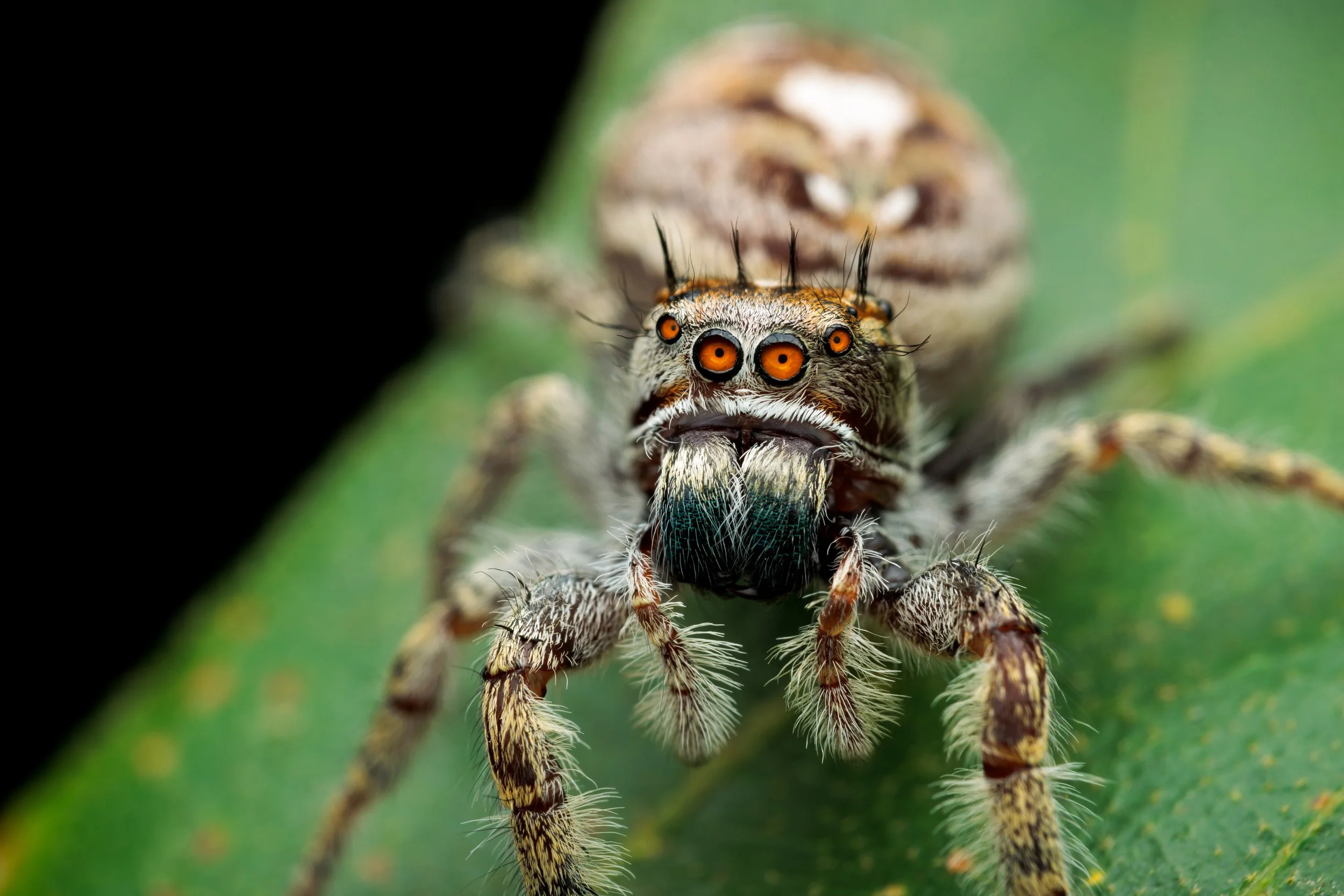 2nd Friday Norman Art Walk