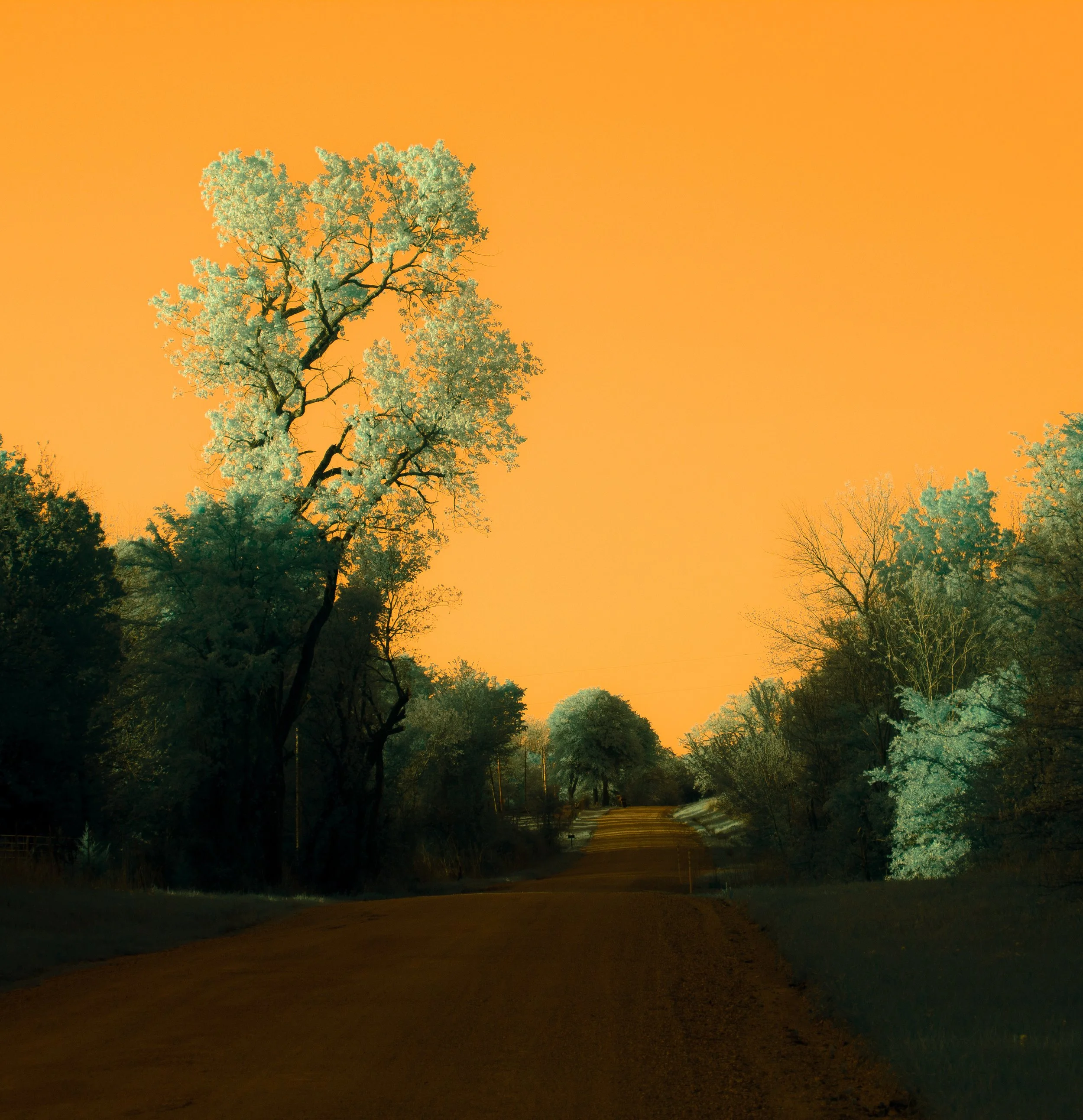 2nd Friday Norman Art Walk