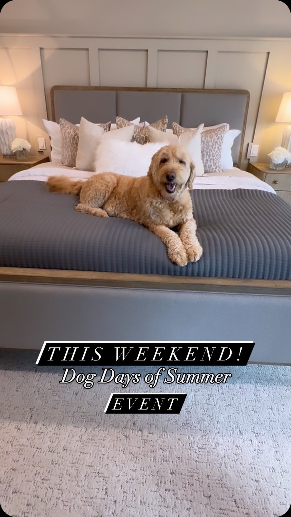 About — Kelly Construction