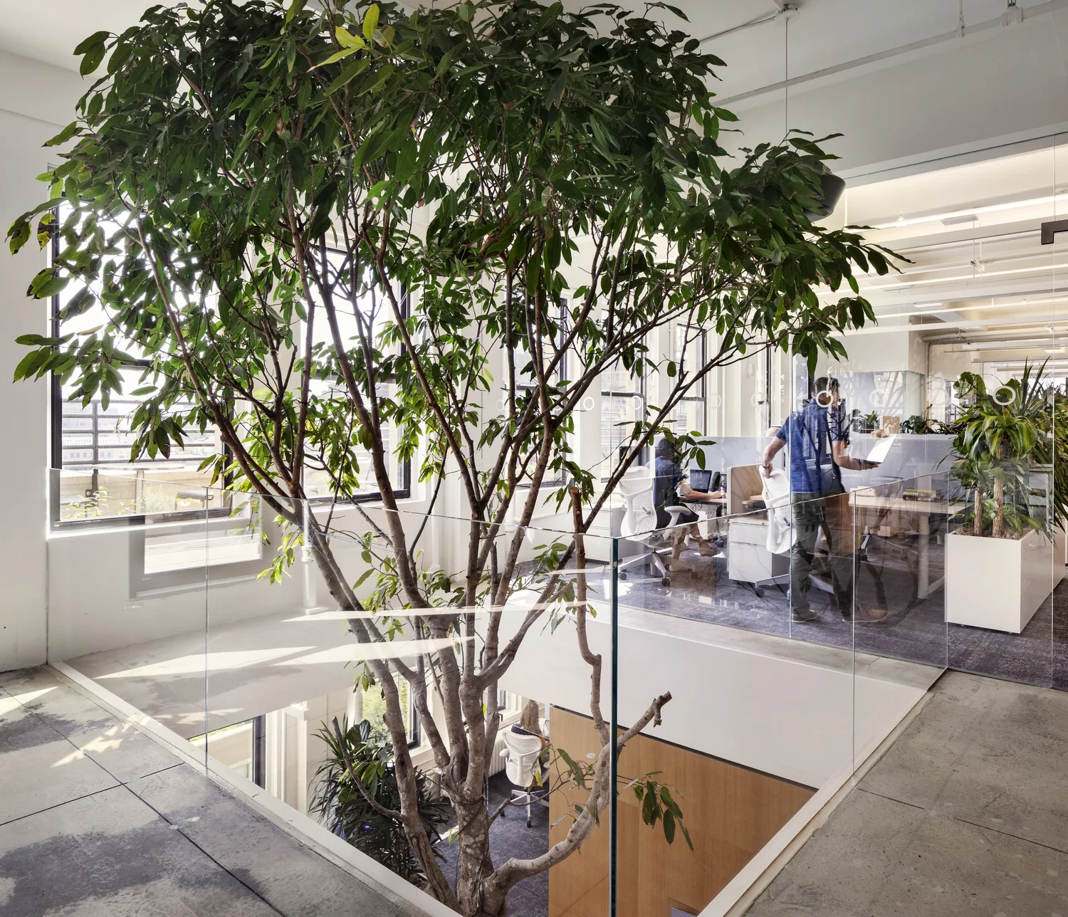 The Nature Conservancy — Atema Architecture