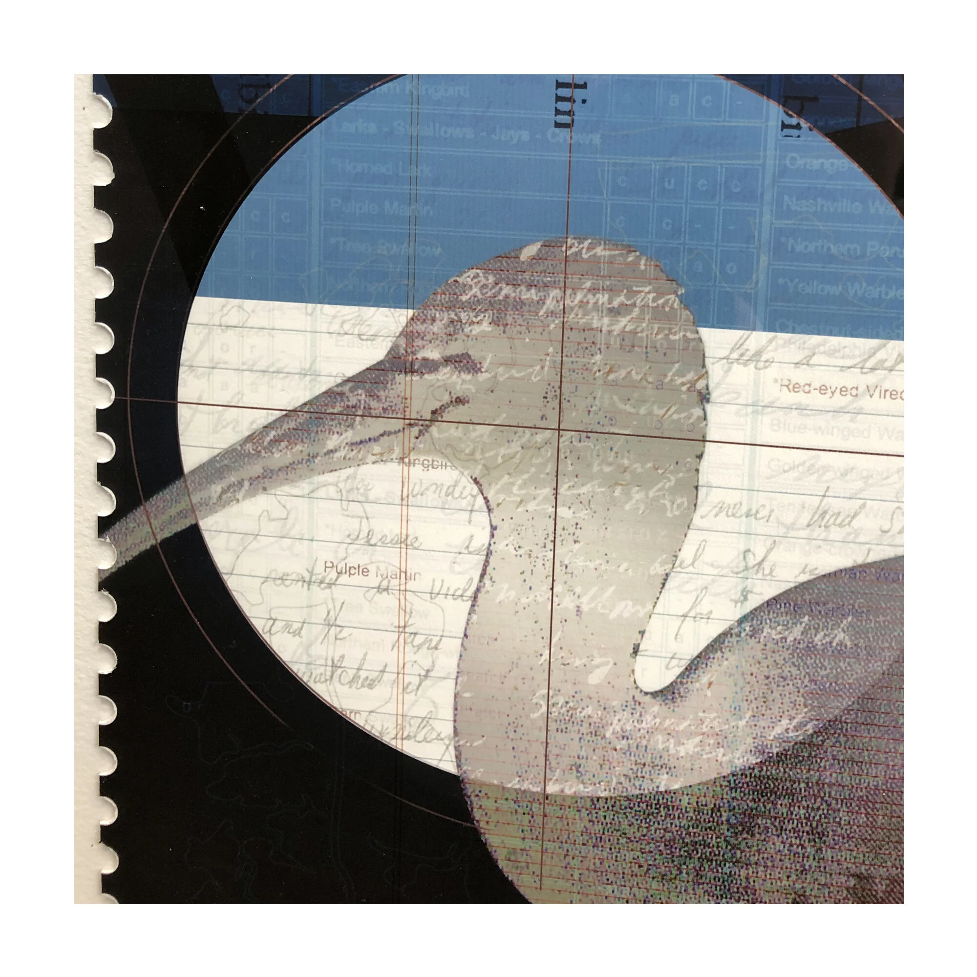 Gift Shop — The RAiR Foundation