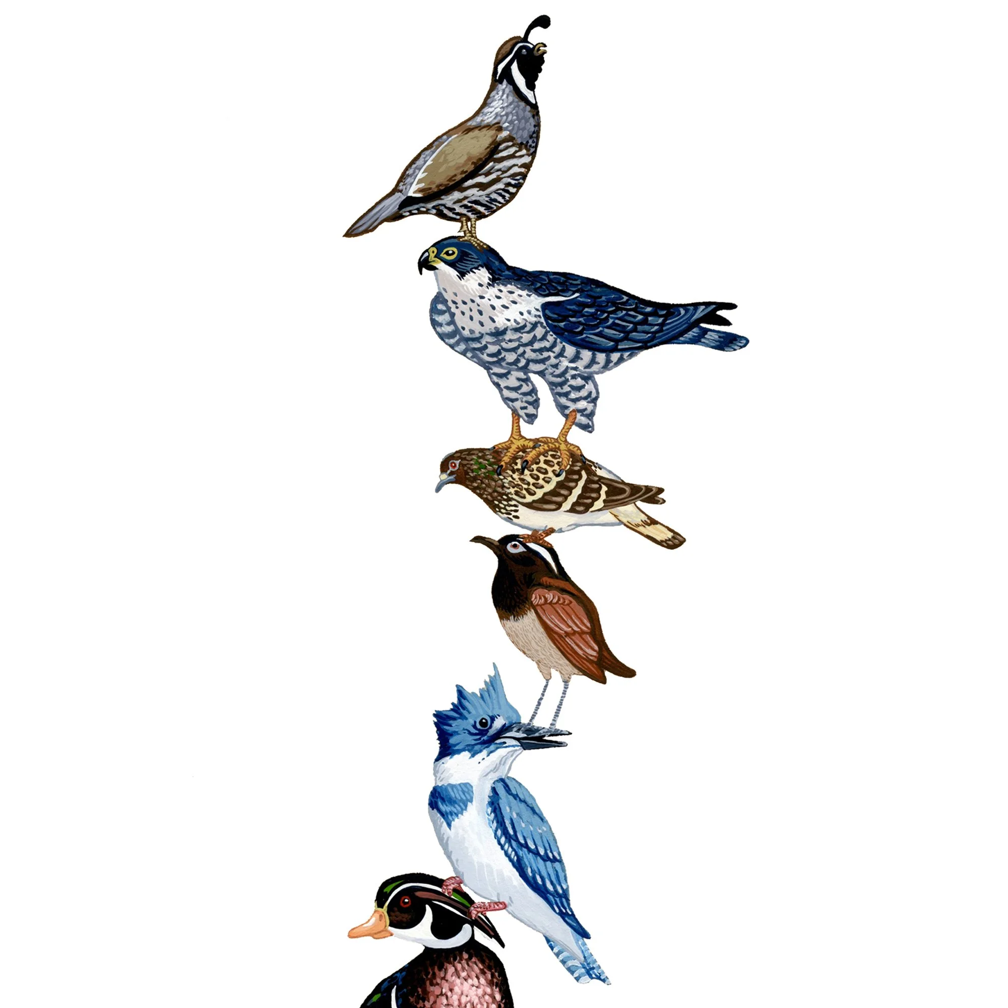 Gift Shop — The RAiR Foundation