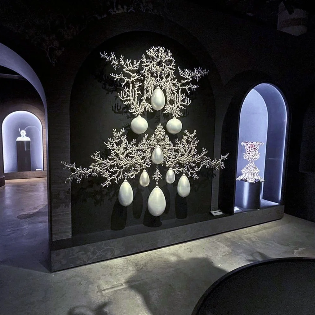 Tim Horn (2006-07) — The RAiR Foundation