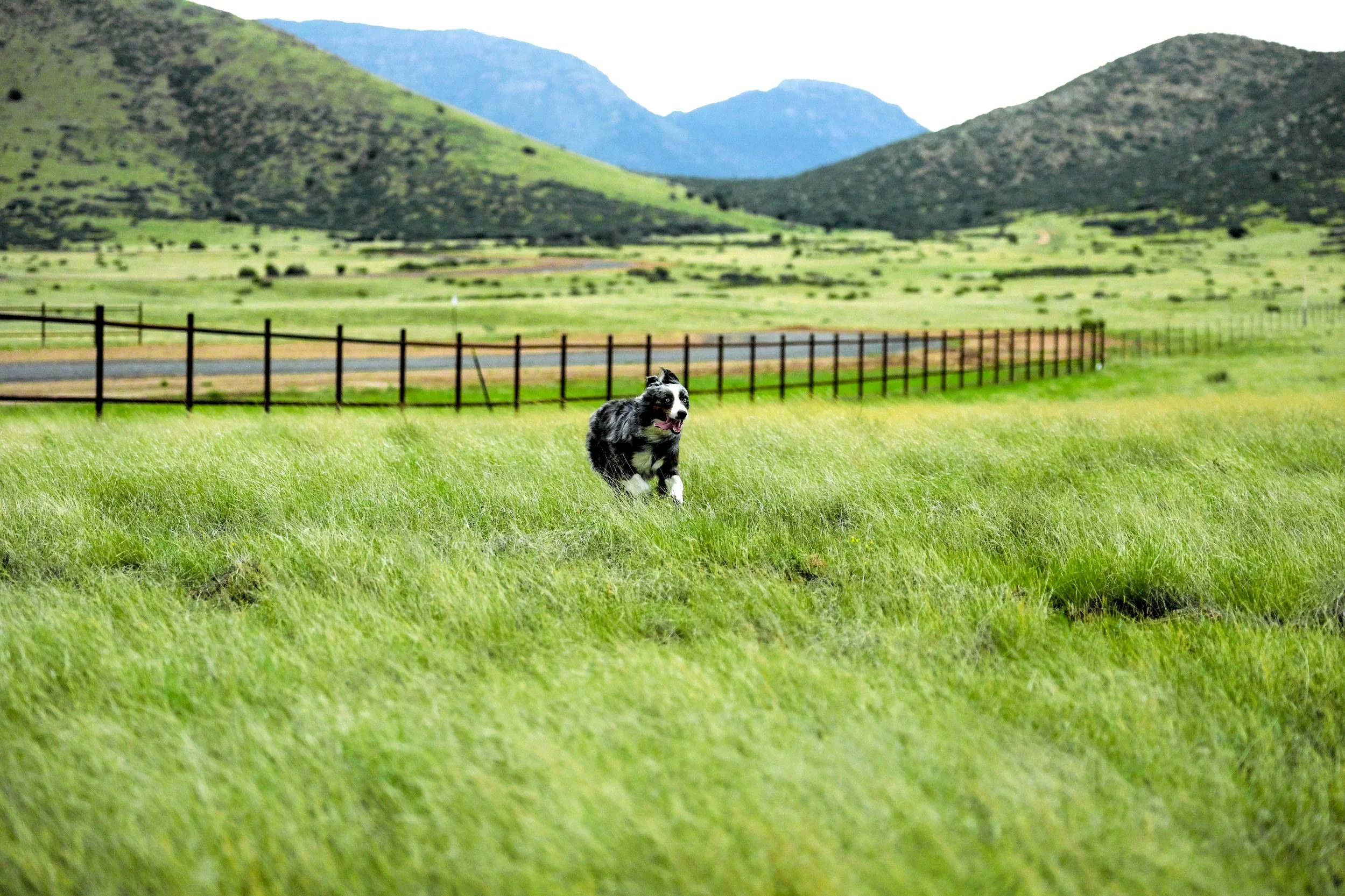 Community — Ventura Ranch