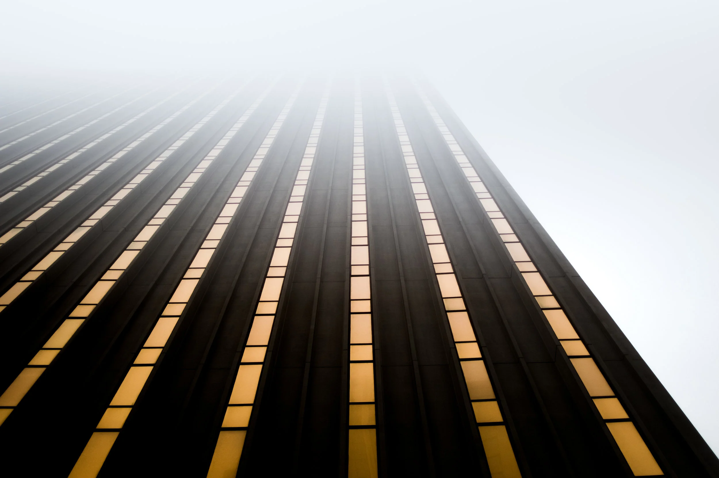 Cities — DAVID GELBERT