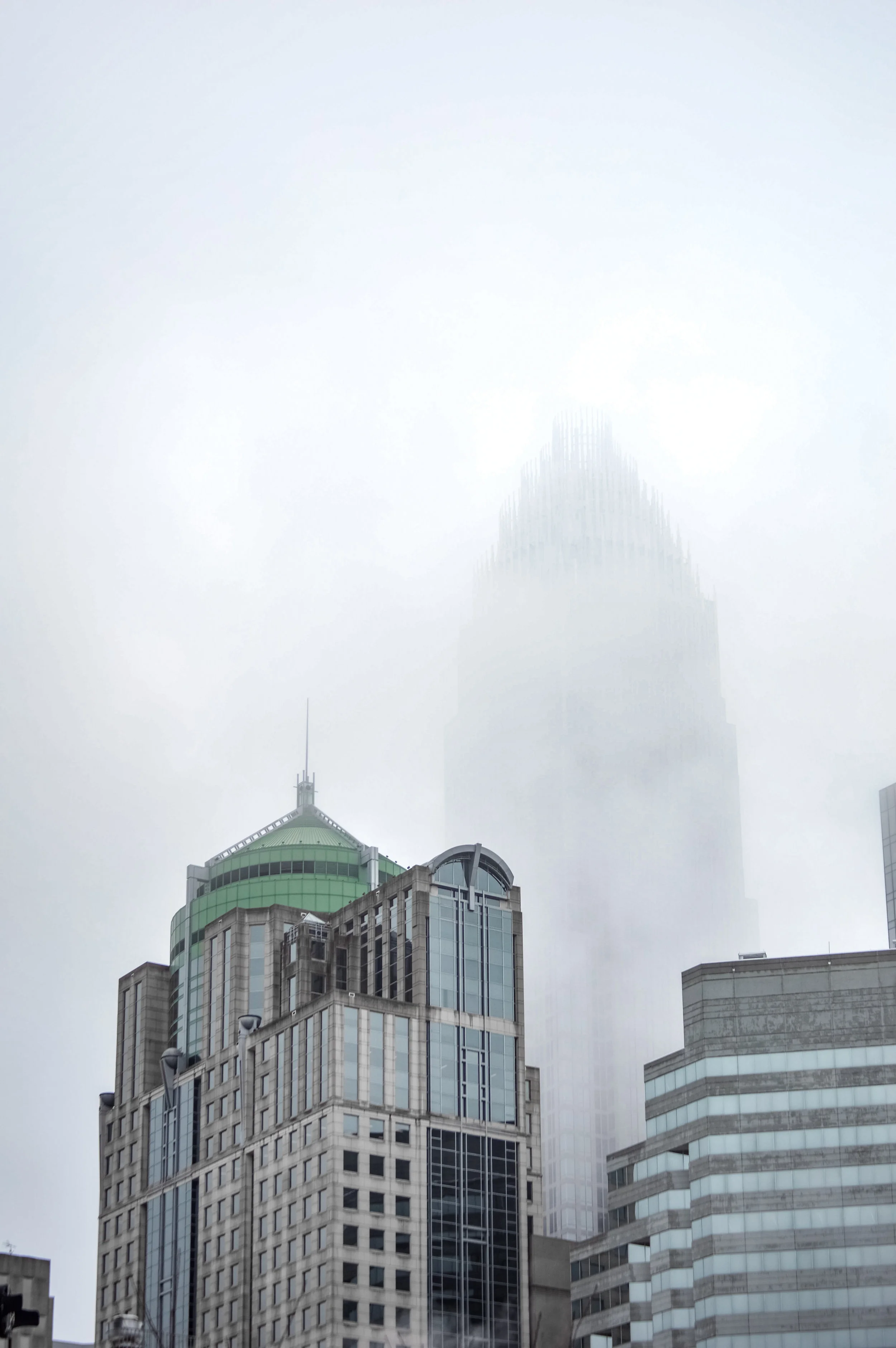 Cities — DAVID GELBERT