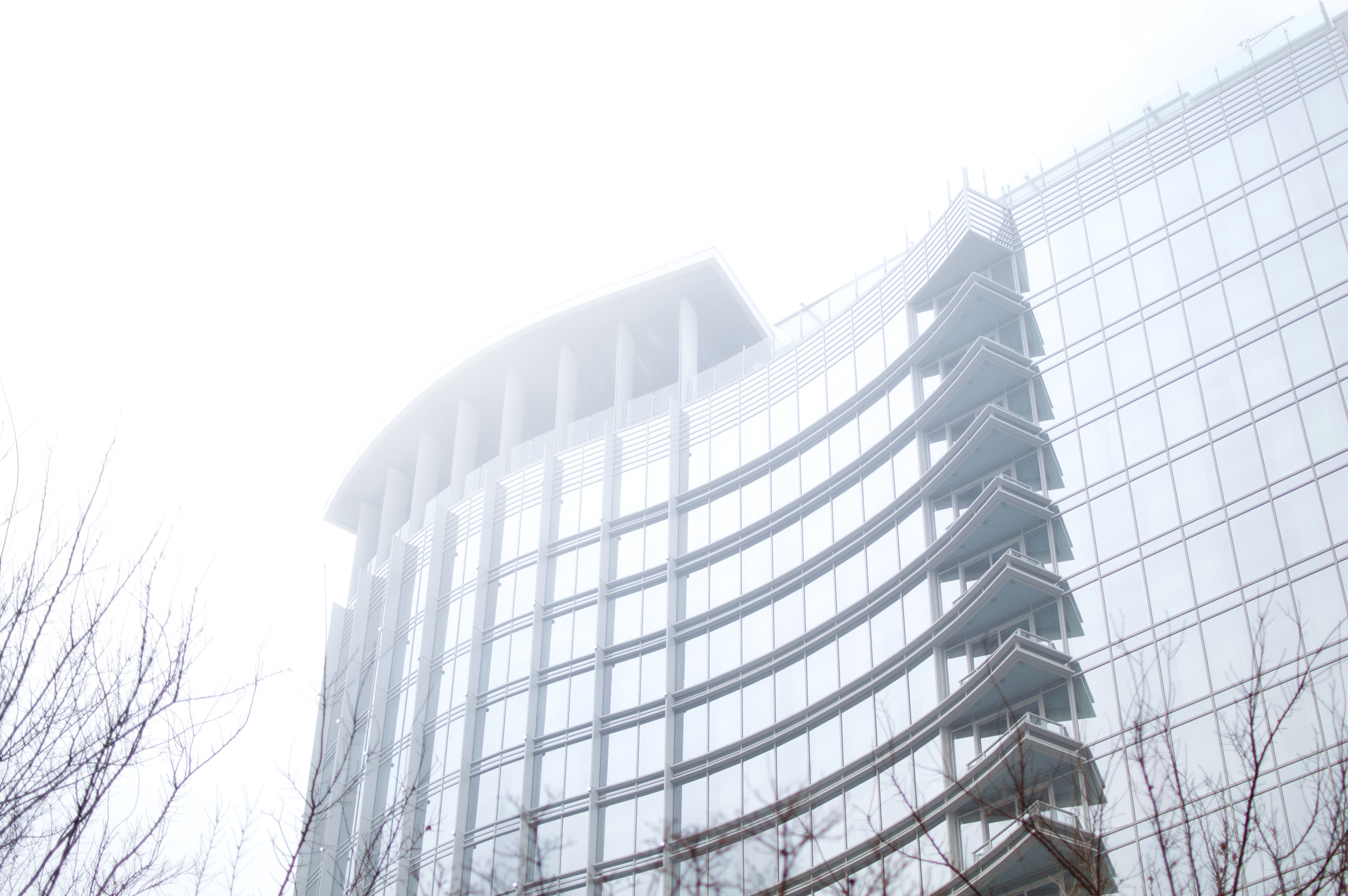 Cities — DAVID GELBERT