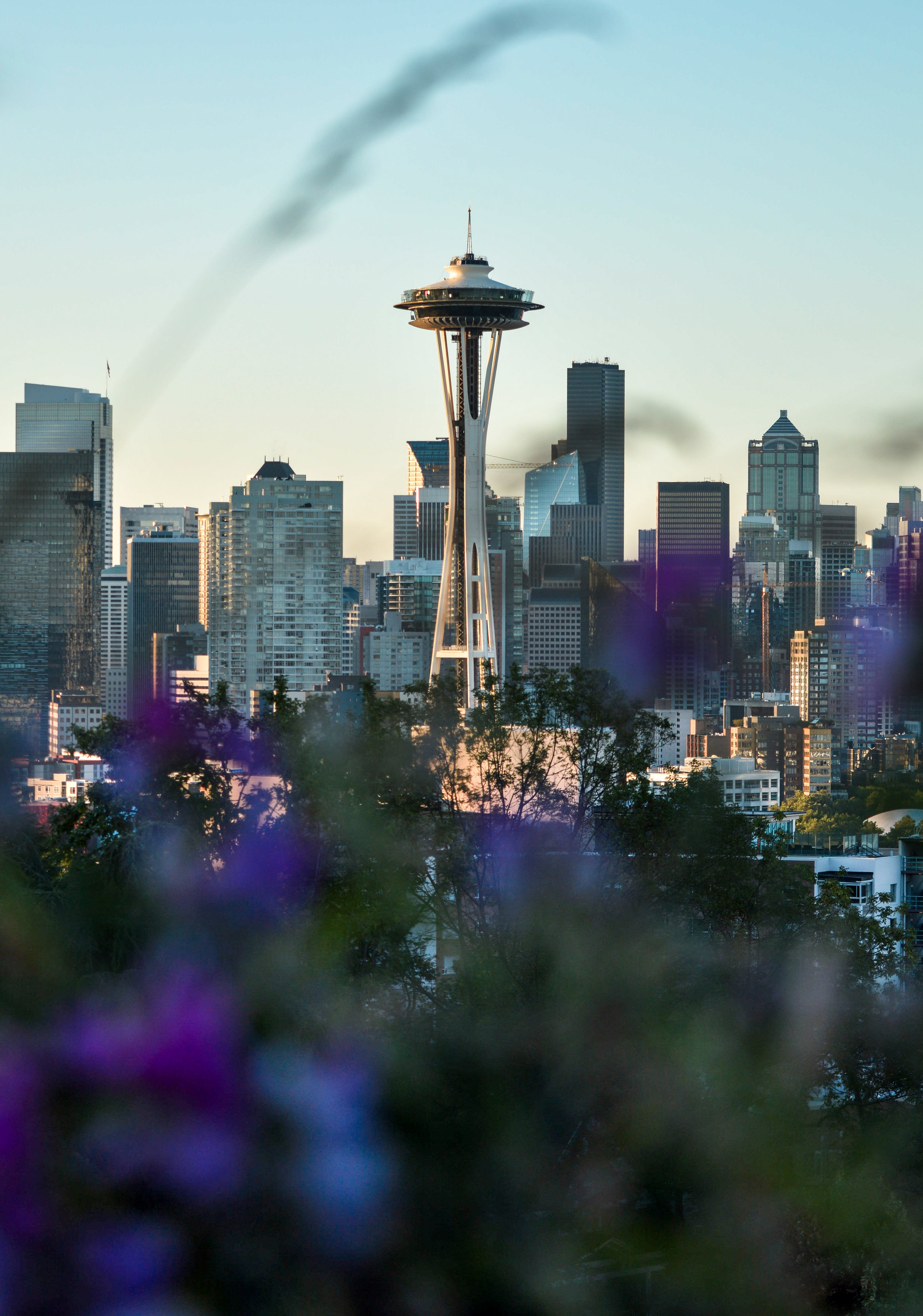 Cities — DAVID GELBERT