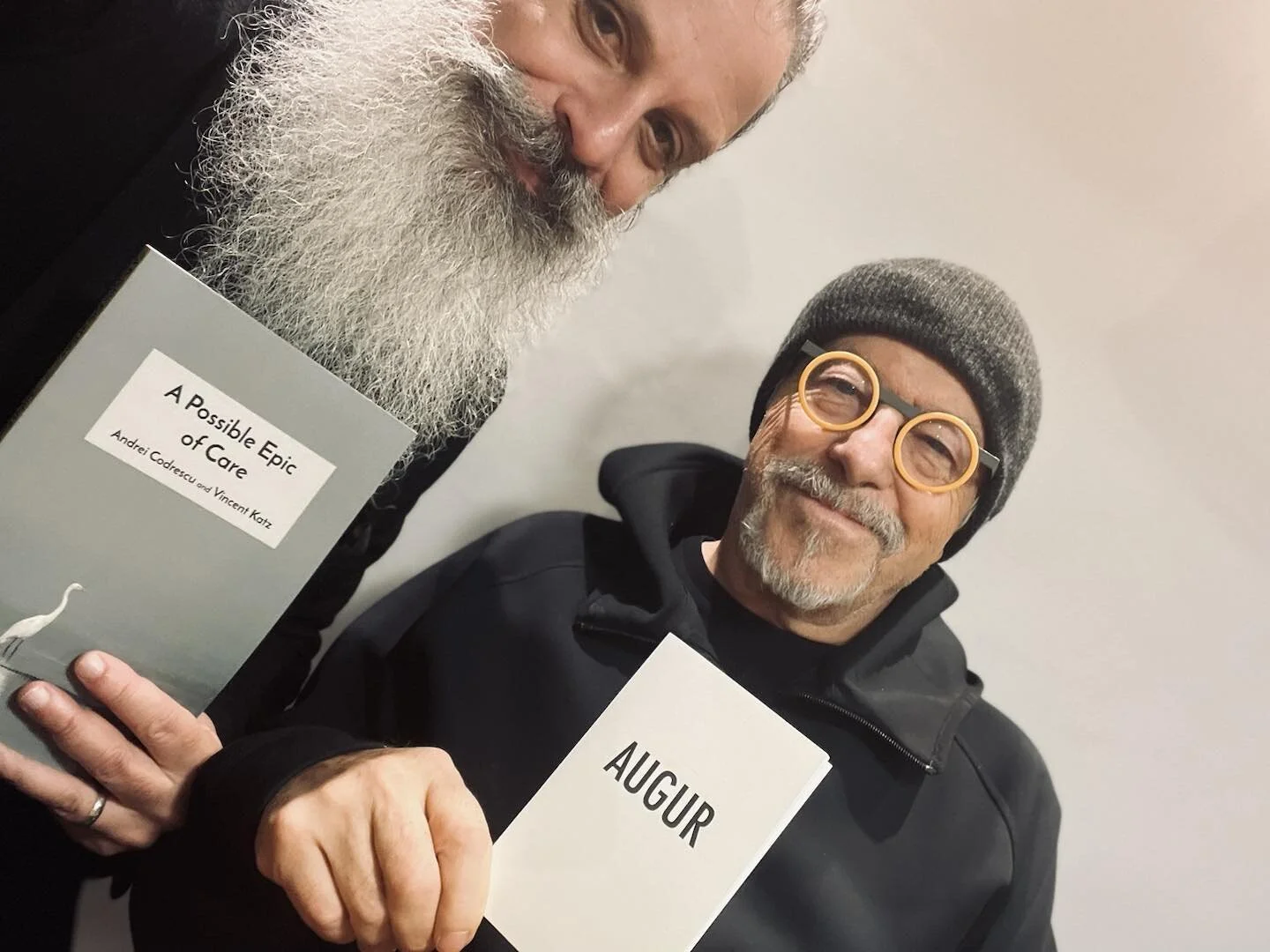 Submarinul Iertat by Ruxandra Cesereanu & Andrei Codrescu Anniversary ...