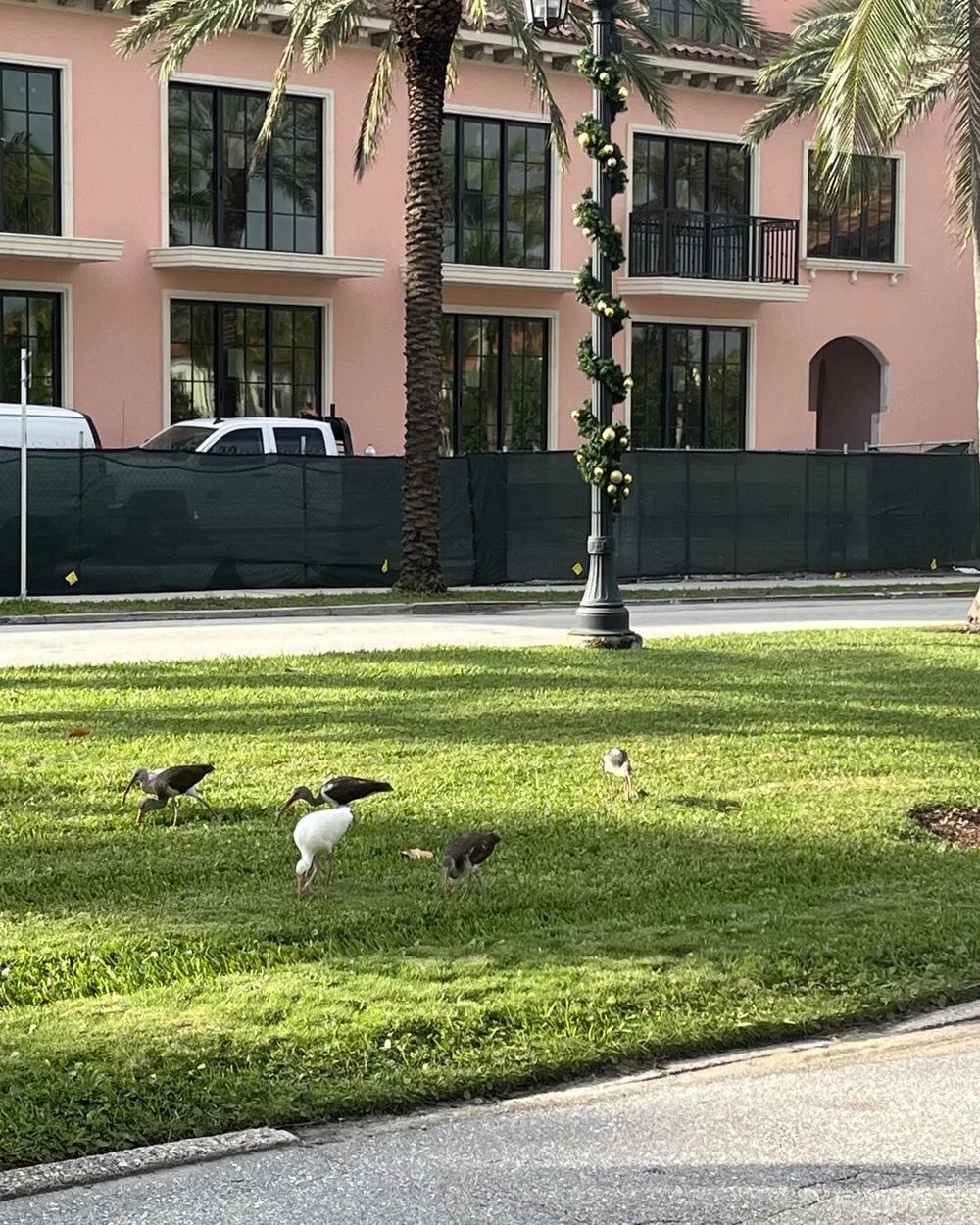 Exquisite Corpse — Andrei Codrescu