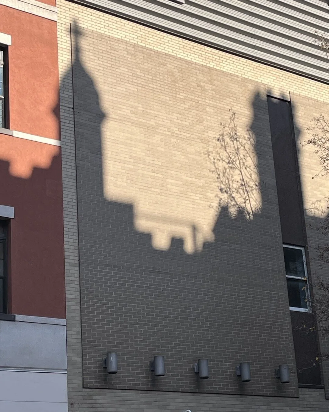 Awards and Honors — Andrei Codrescu