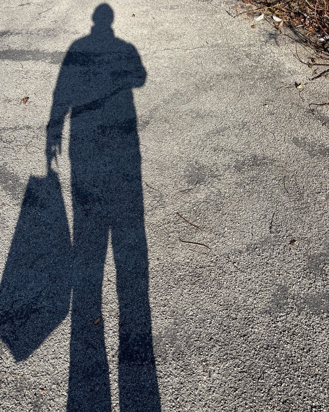 Exquisite Corpse — Andrei Codrescu