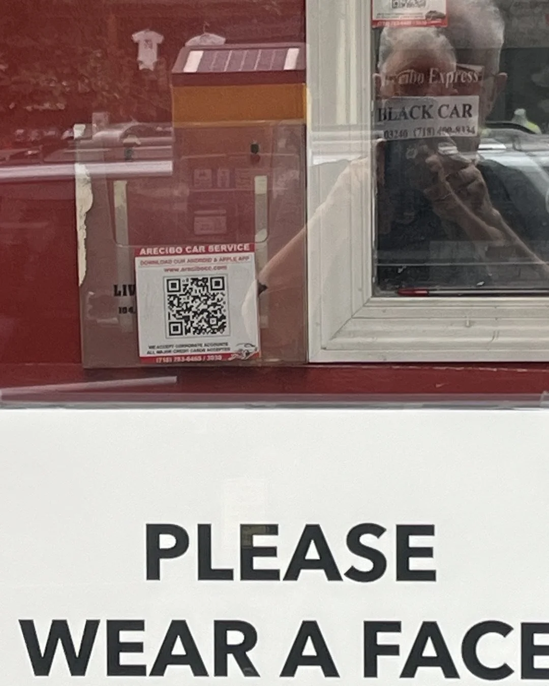 The Lady Painter — Andrei Codrescu