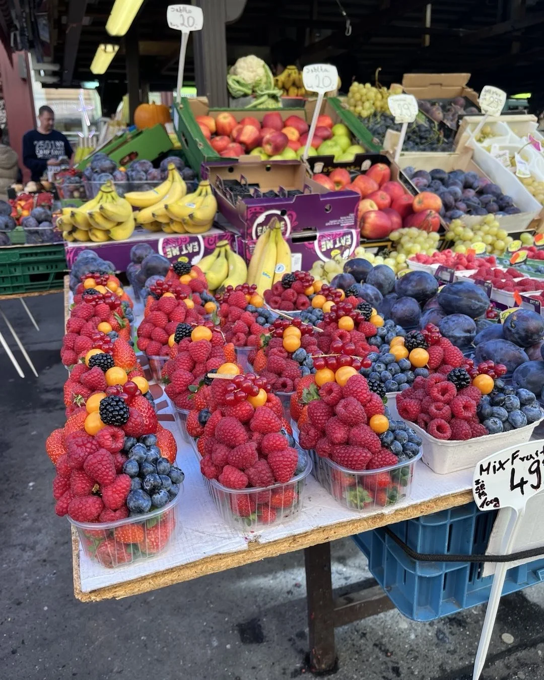 Biography — Andrei Codrescu