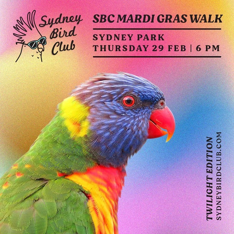Sydney Bird Club