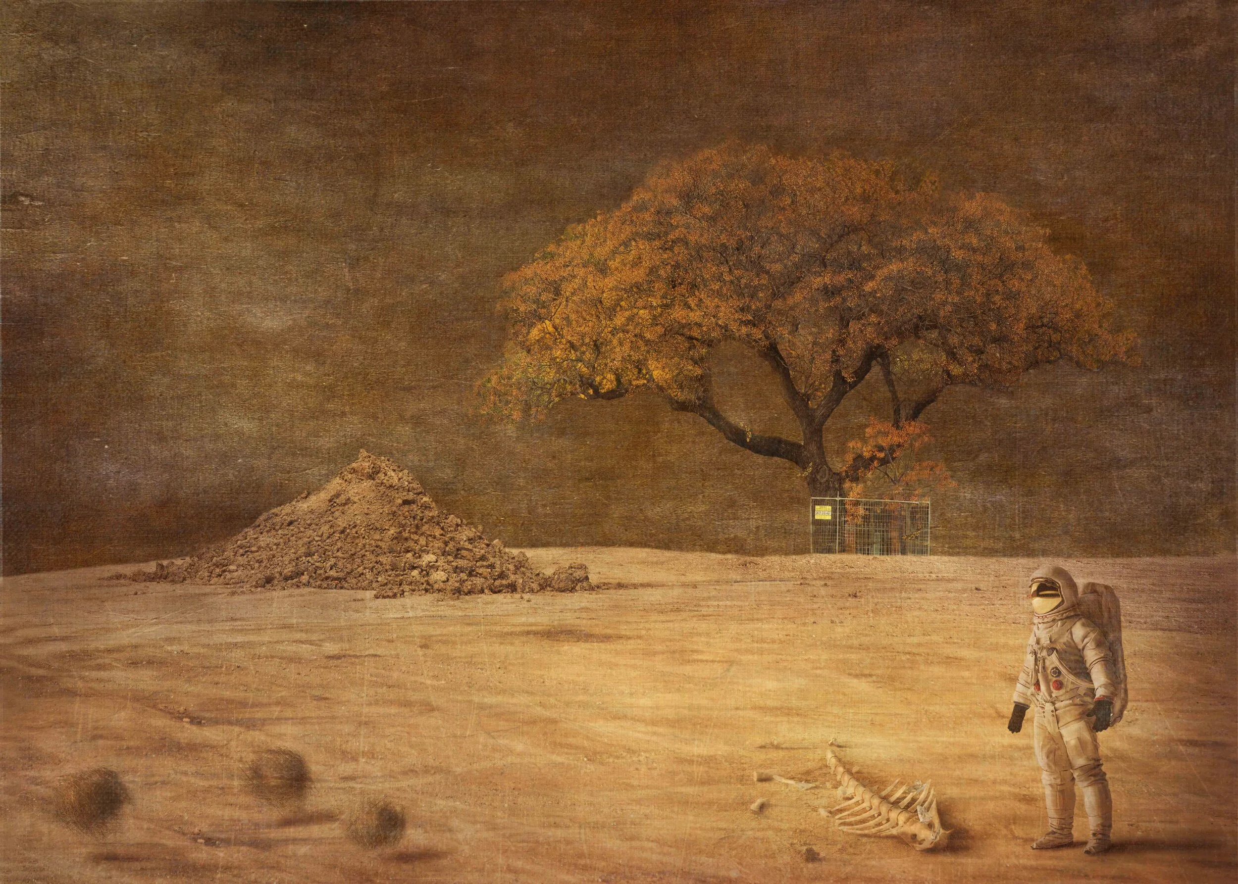 All Artworks 2017-22 — Lauren Starr