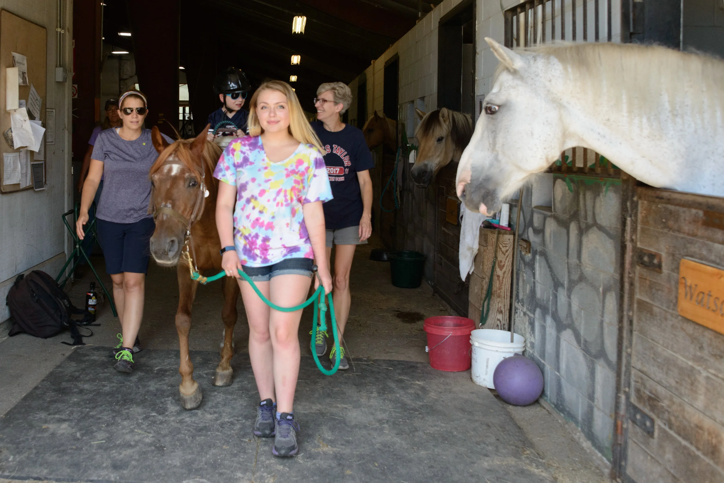Hippotherapy — UpReach Therapeutic Equestrian Center, Inc.