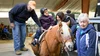 UpReach Therapeutic Equestrian Center, Inc.
