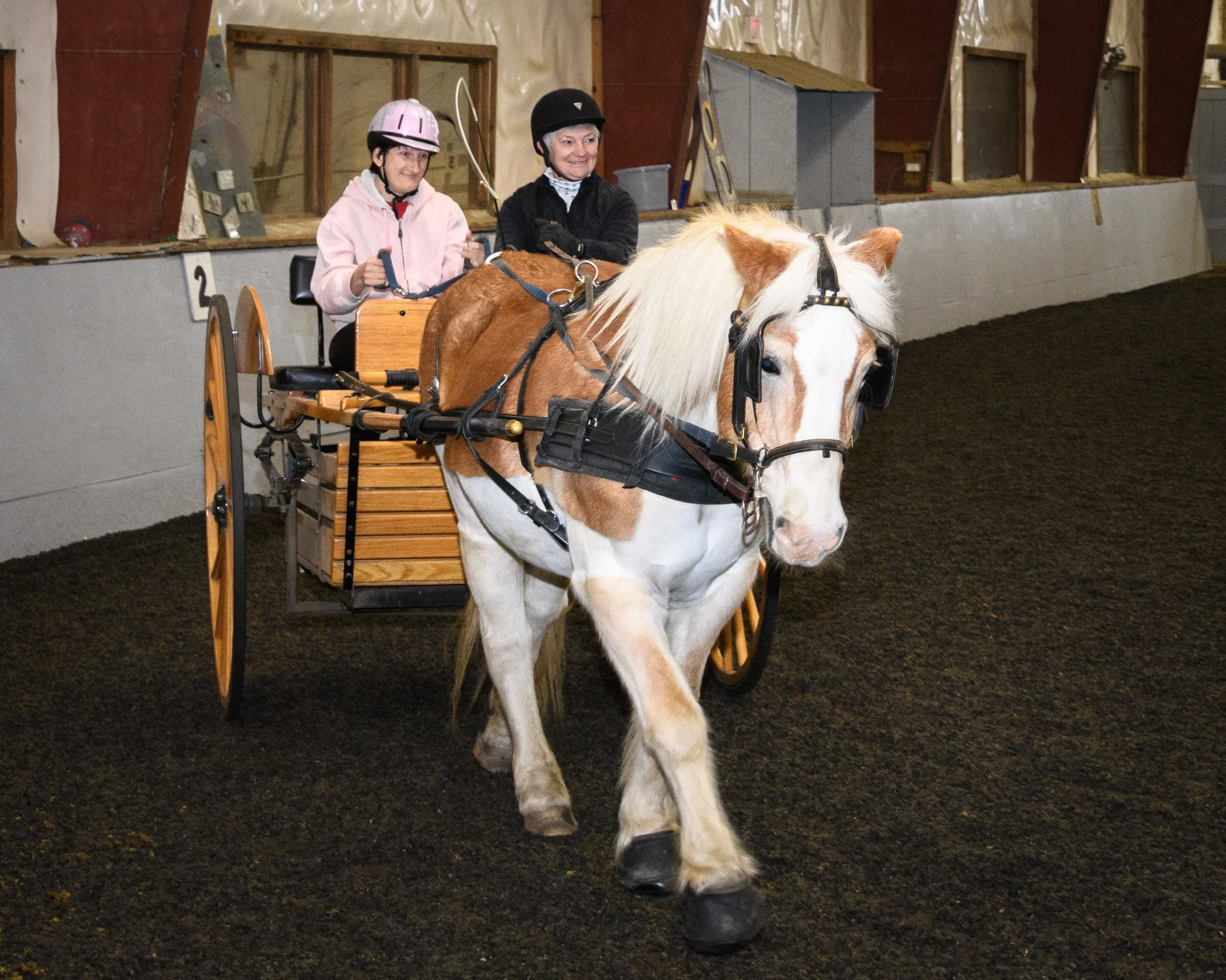 UpReach Therapeutic Equestrian Center, Inc.