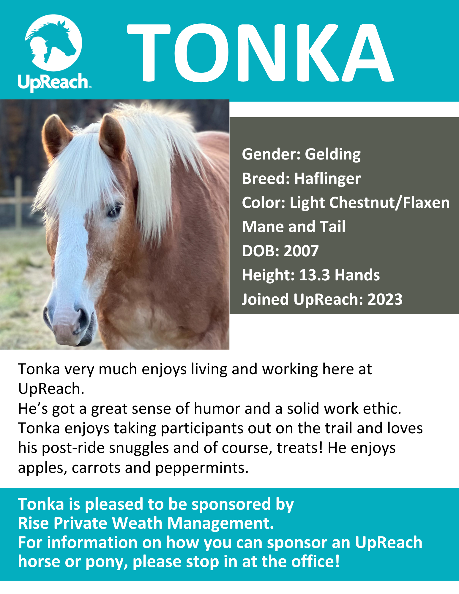 Tonka — UpReach Therapeutic Equestrian Center, Inc.